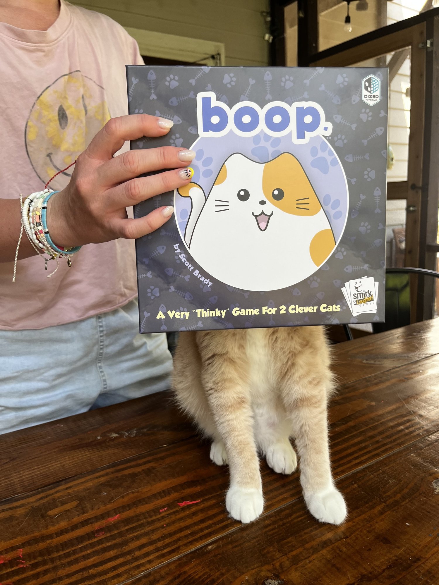 Cat Lovers Can't Get Enough of Boop | Dad Suggests