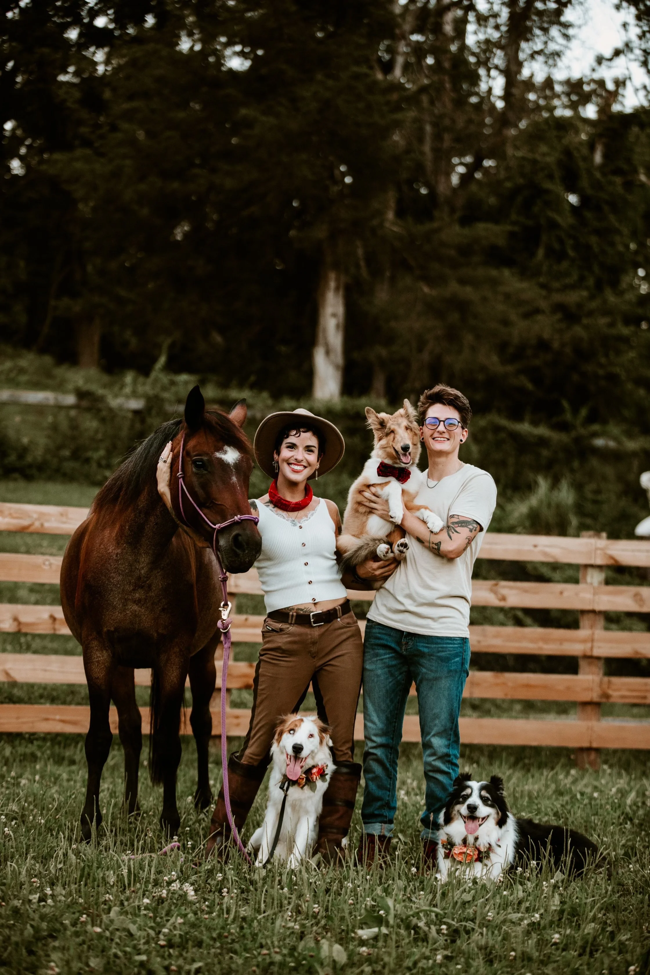 Portland Certified Dog Training & Behavior Consultants — Noble Woof Dog ...