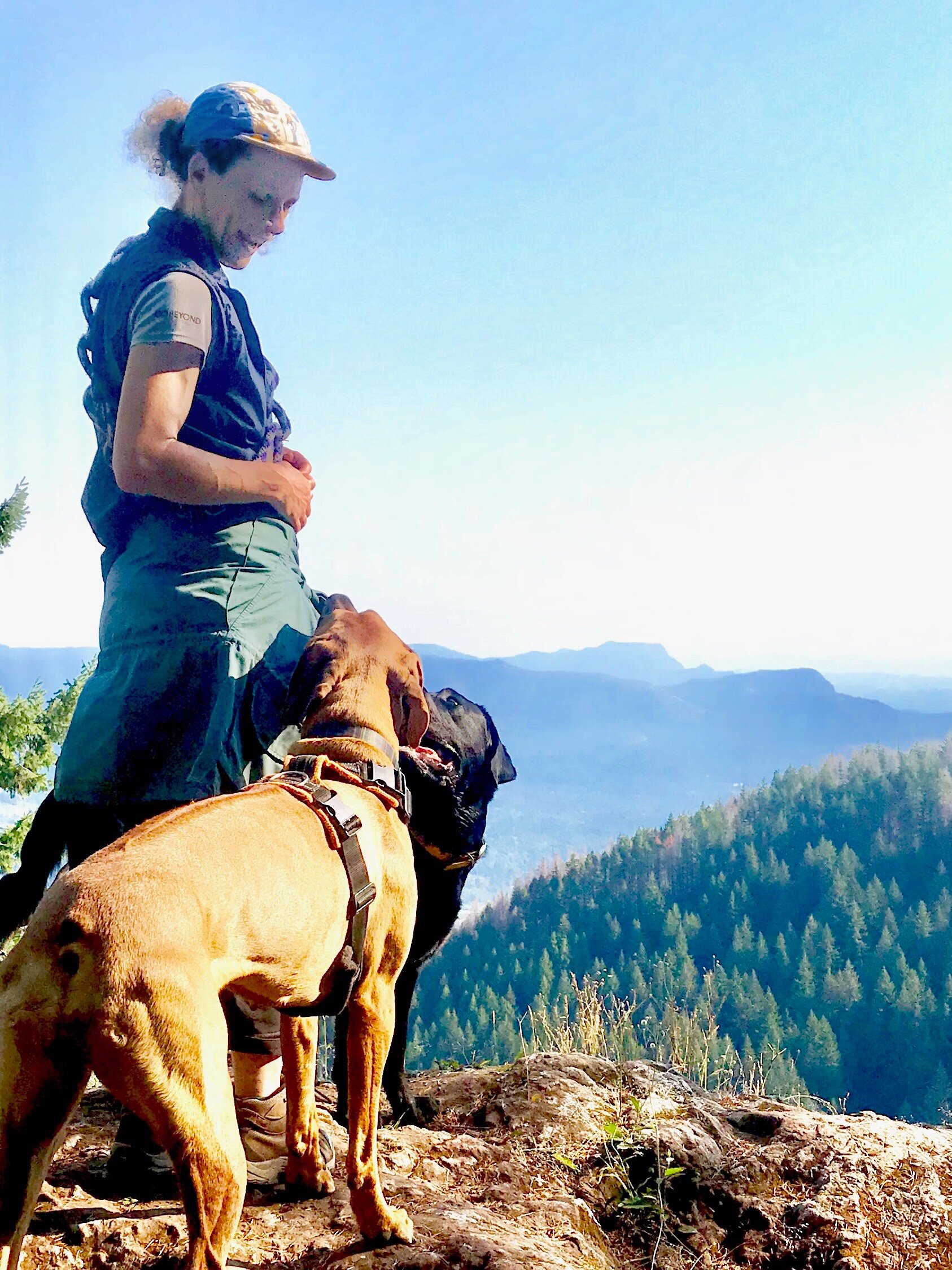 Portland Certified Dog Training & Behavior Consultants — Noble Woof Dog ...