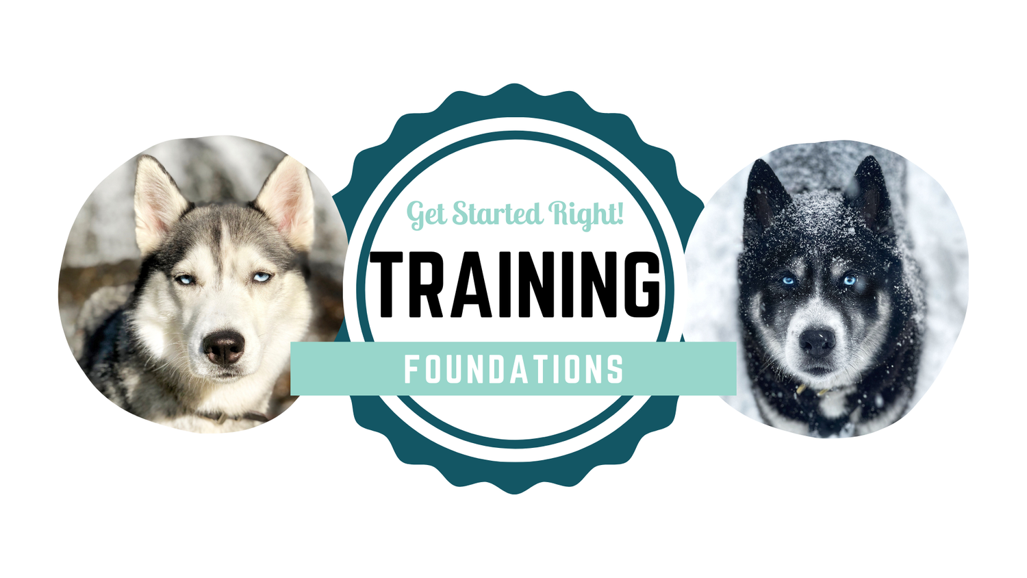Free Online Dog Training Course- Clicker Training — Noble Woof Dog ...