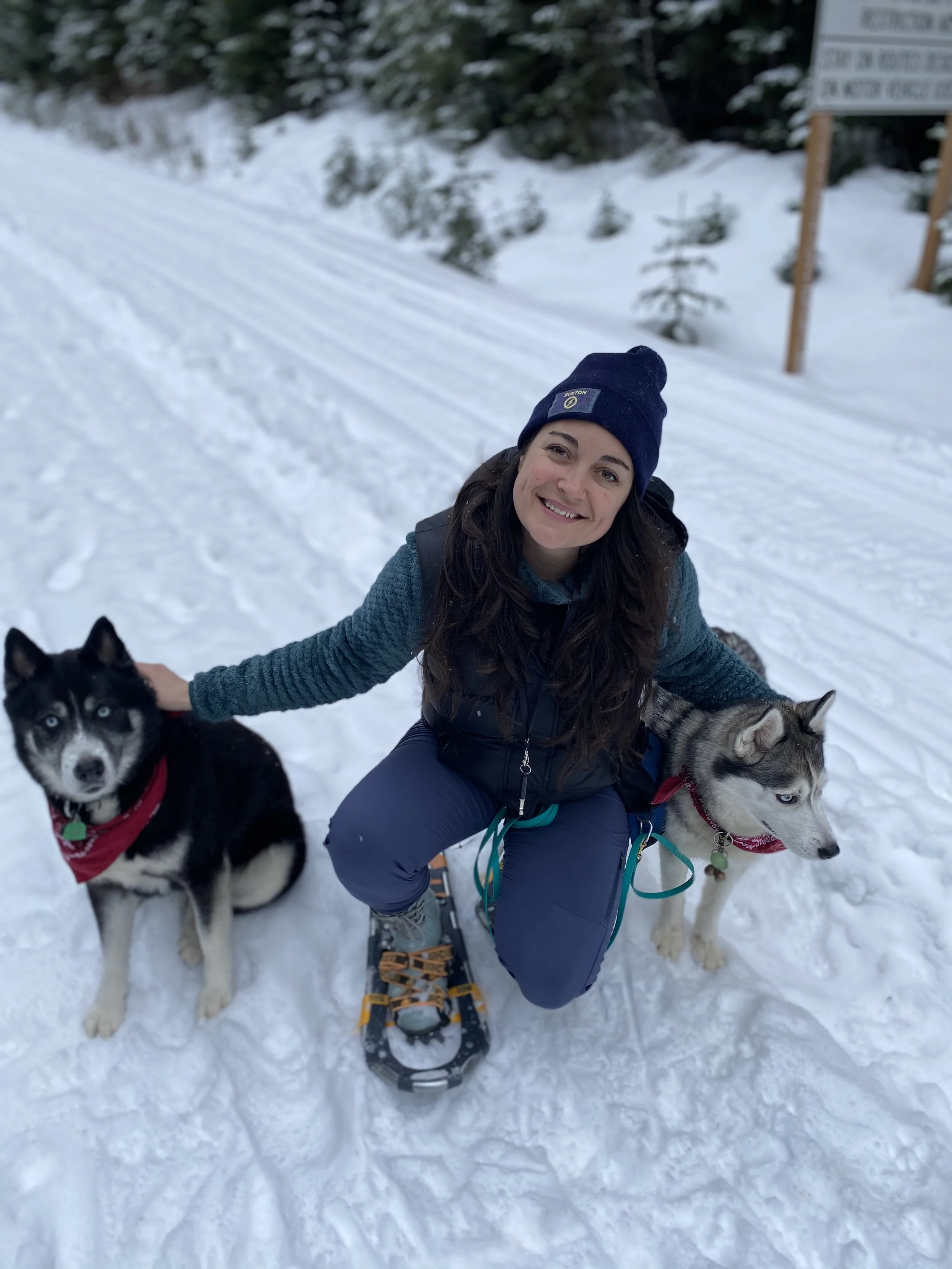 Portland Certified Dog Training & Behavior Consultants — Noble Woof Dog ...