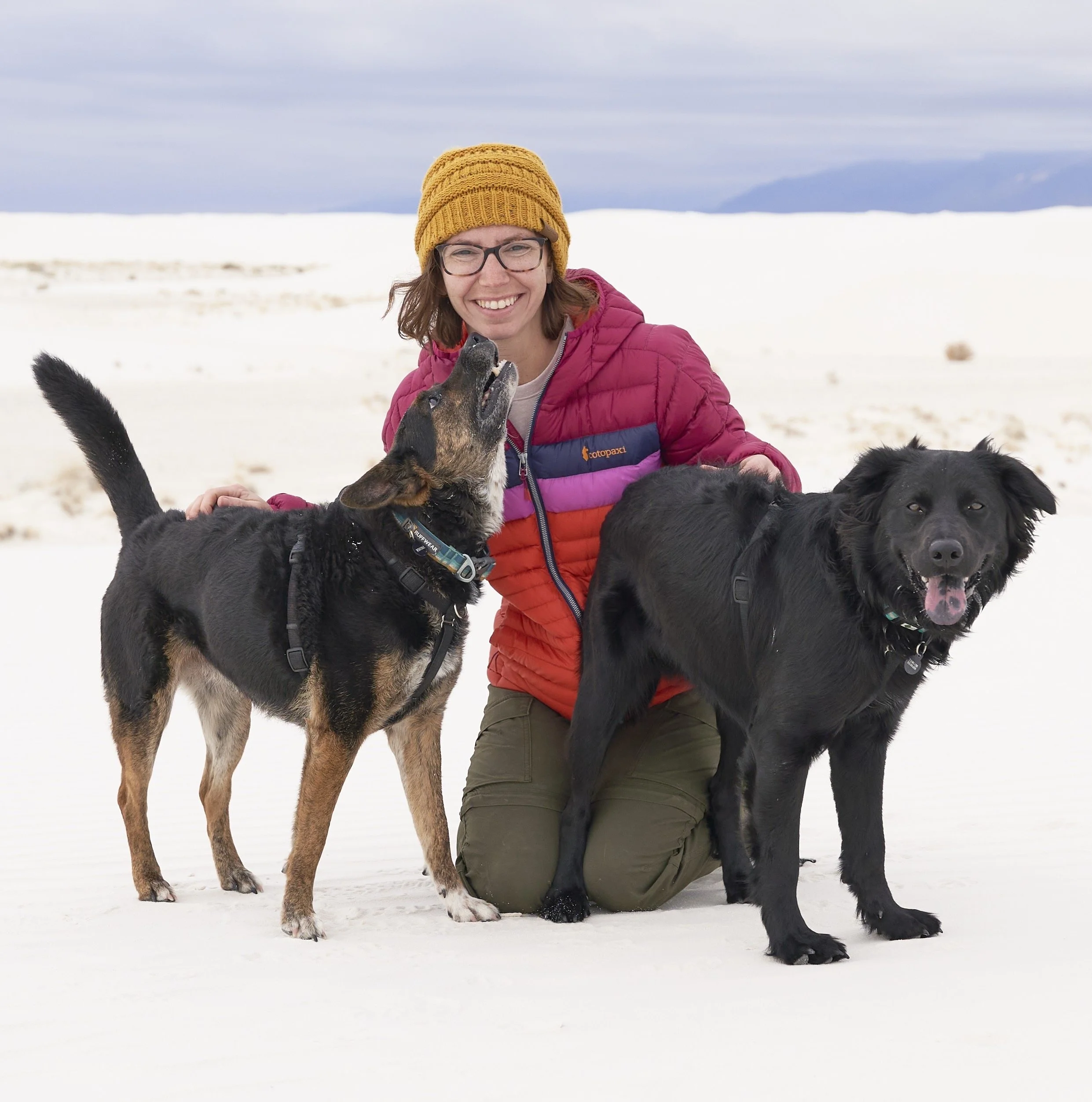 Portland Certified Dog Training & Behavior Consultants — Noble Woof Dog ...