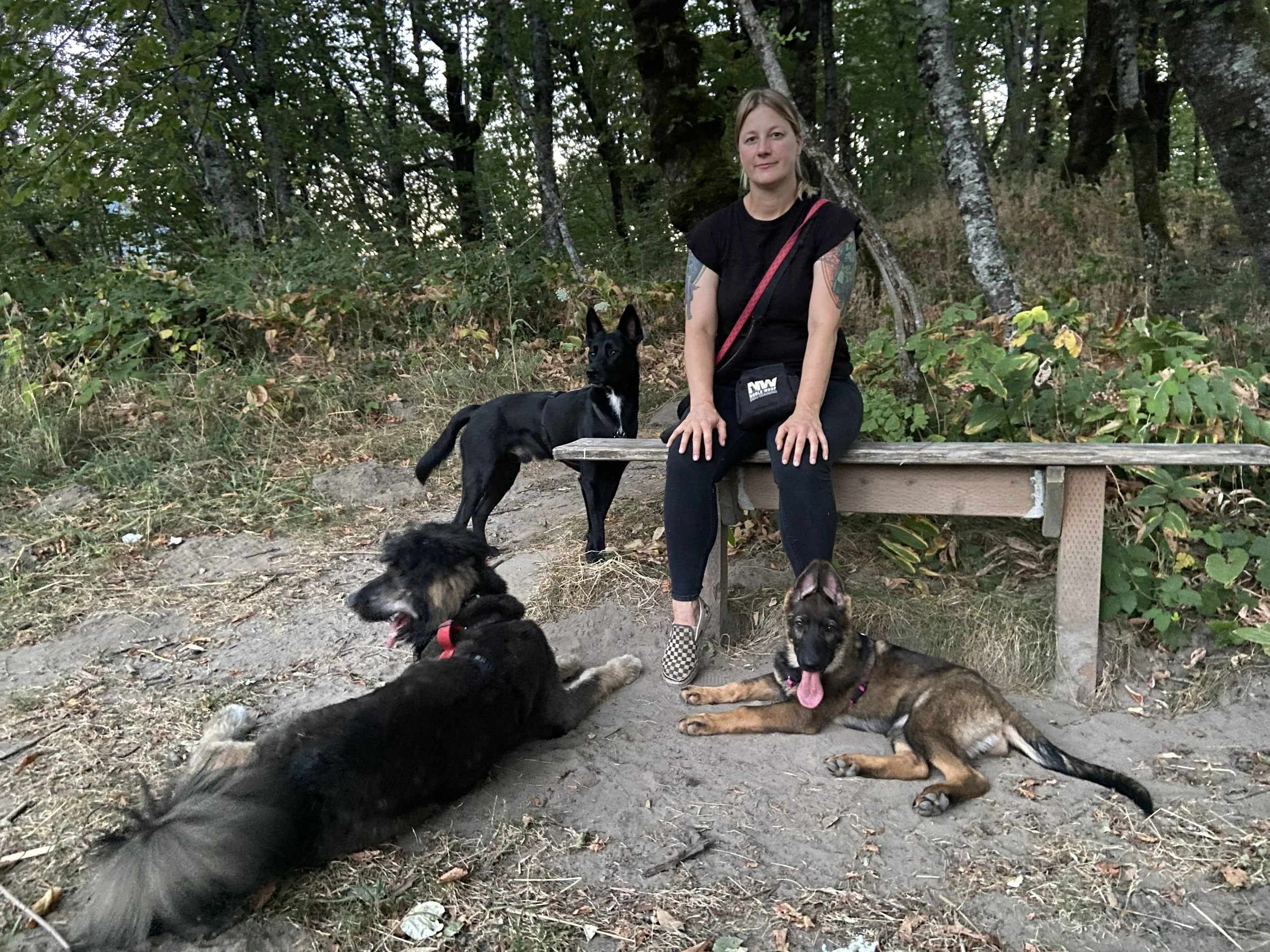 Portland Certified Dog Training & Behavior Consultants — Noble Woof Dog ...