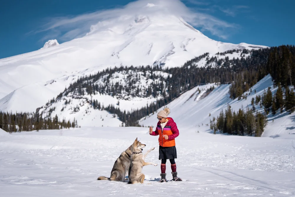 Portland Certified Dog Training & Behavior Consultants — Noble Woof Dog ...