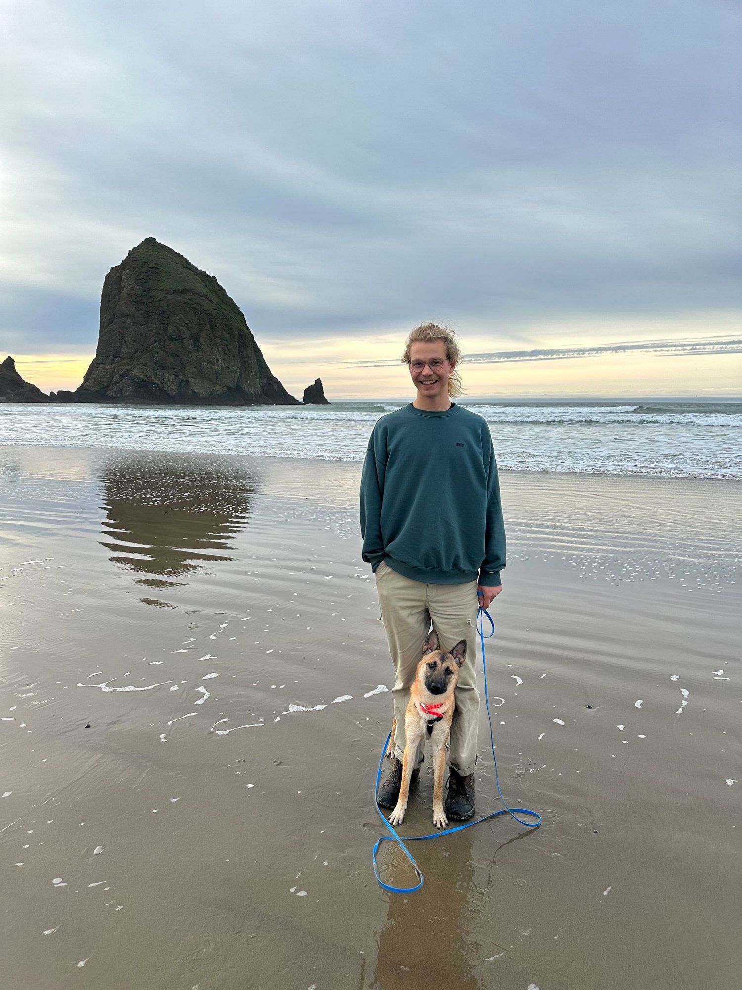 Portland Certified Dog Training & Behavior Consultants — Noble Woof Dog ...