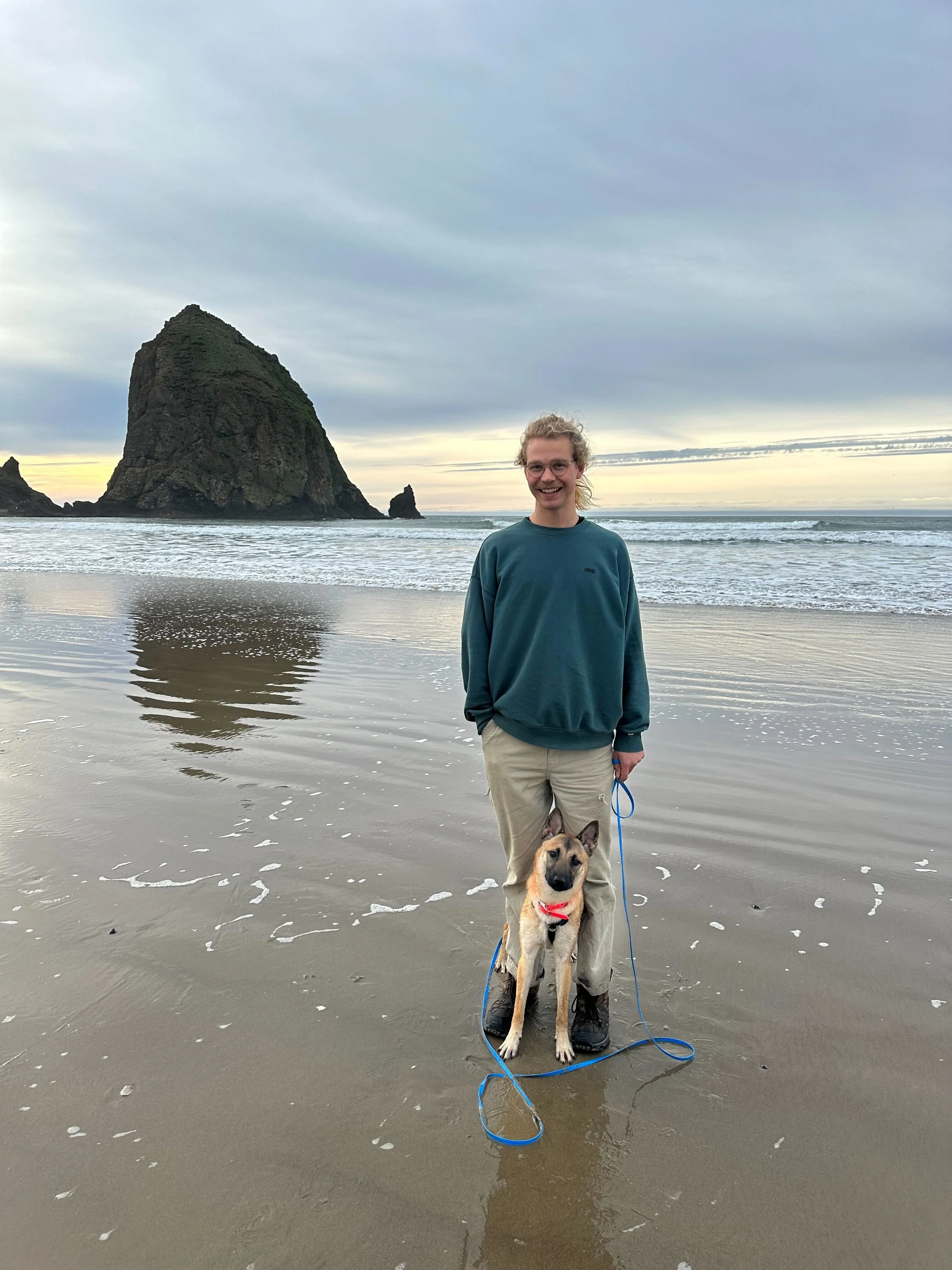 Portland Certified Dog Training & Behavior Consultants — Noble Woof Dog ...