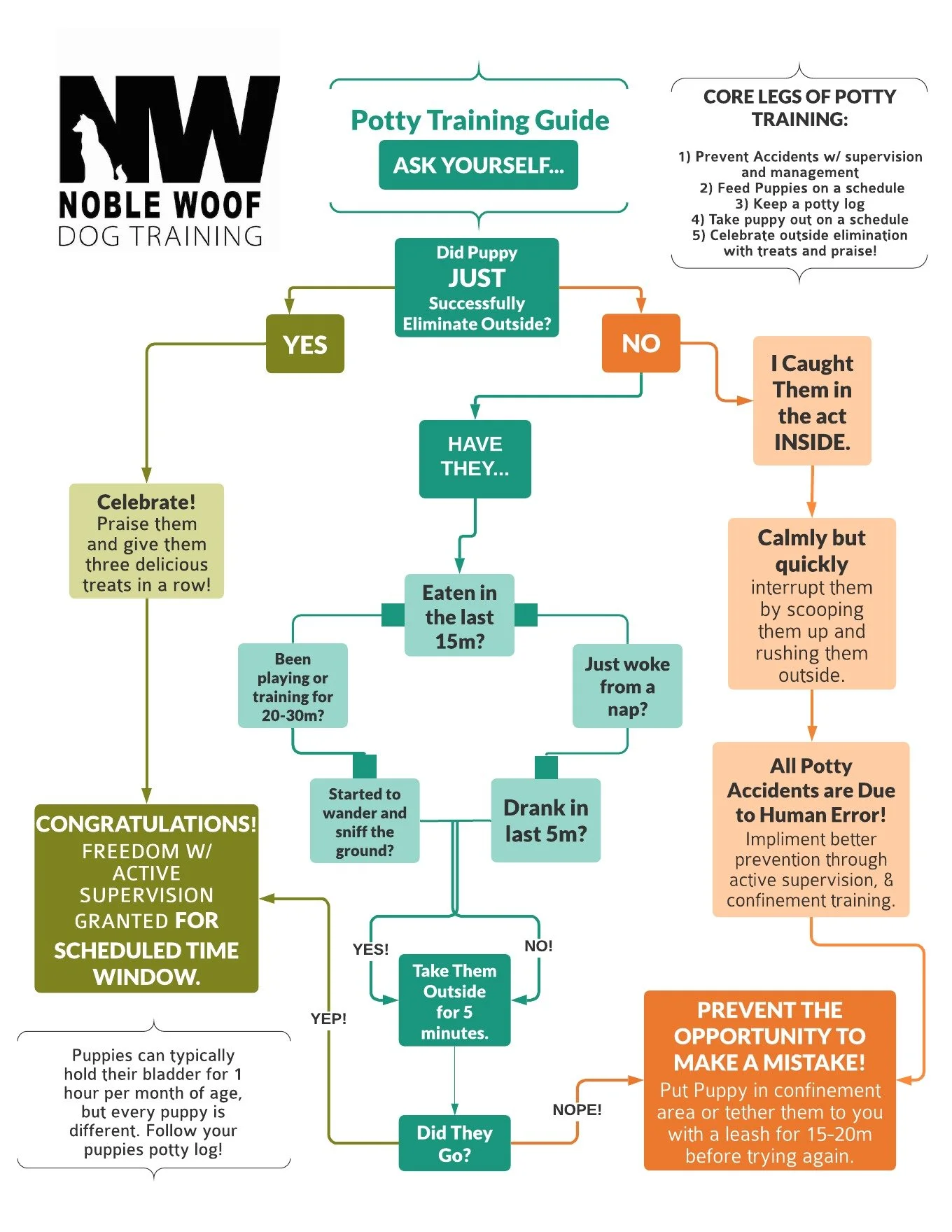 Potty Training Your Puppy — Noble Woof Dog Training Portland Oregon