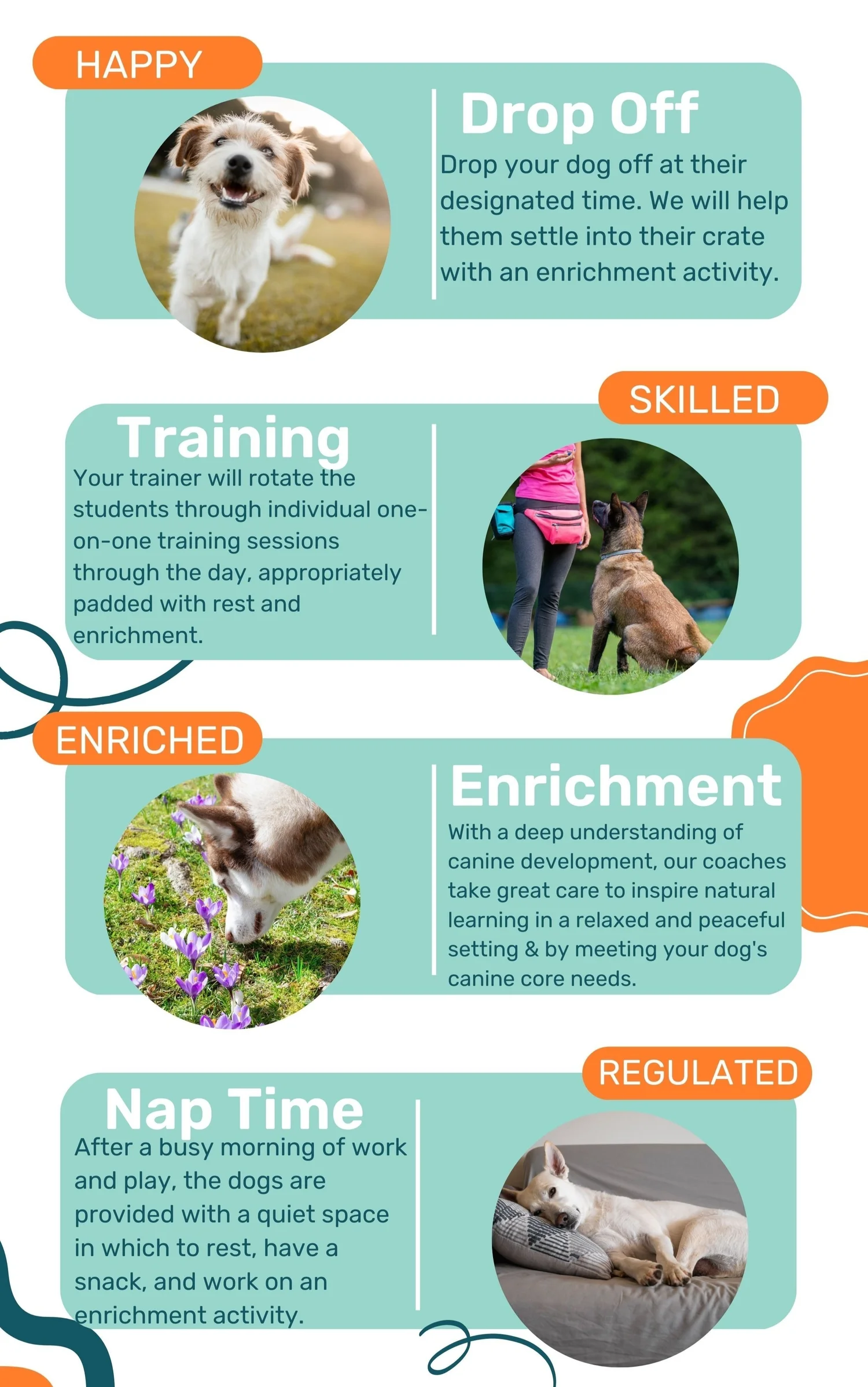 Dog Day Training Camp — Portland Oregon — Noble Woof Dog Training ...