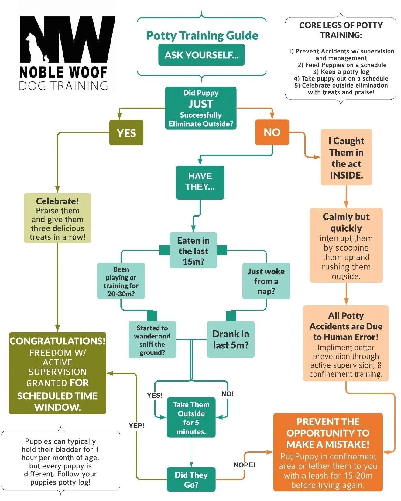 How To Potty Train a Puppy — Noble Woof Dog Training Portland Oregon