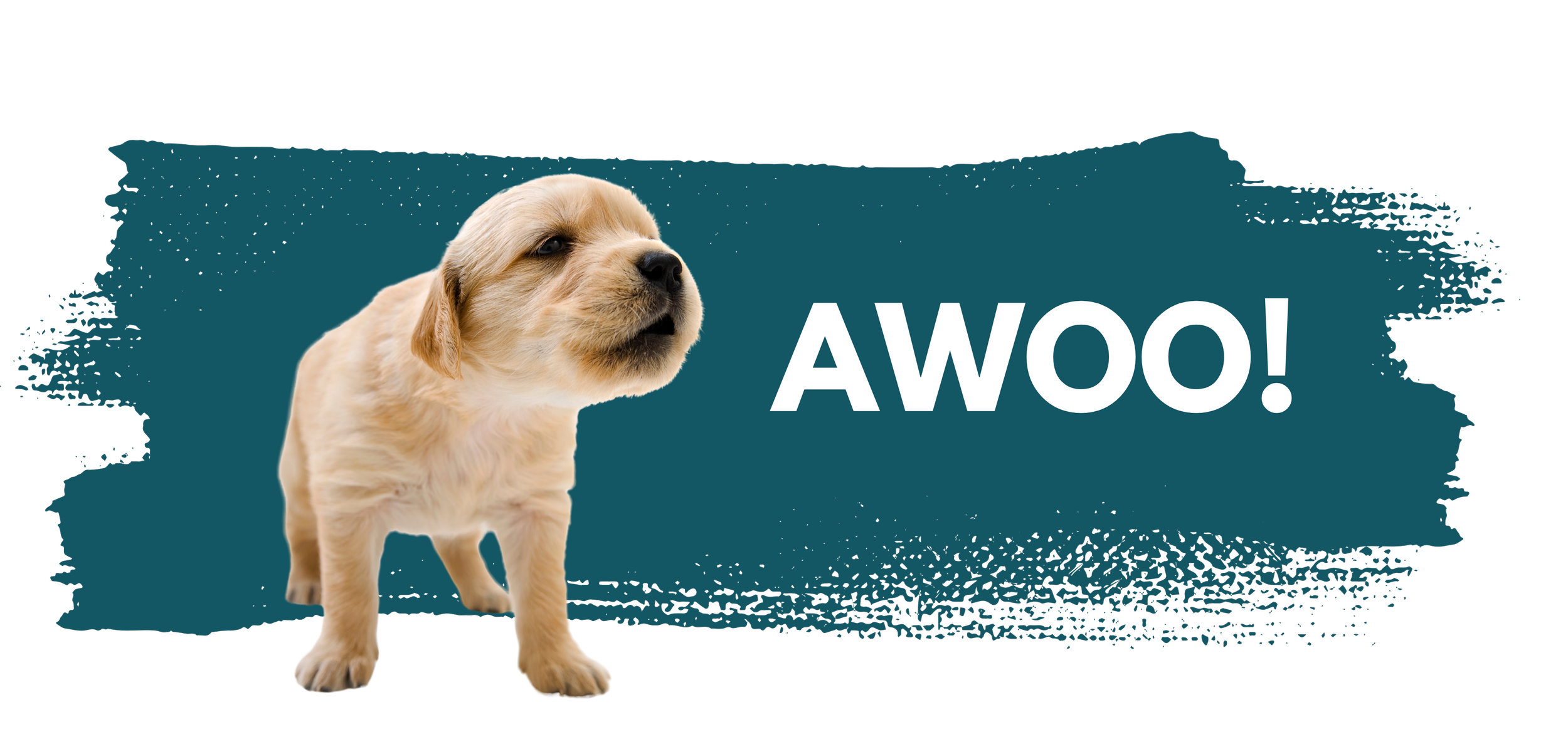 Puppy Playschool — Noble Woof Dog Training Portland Oregon