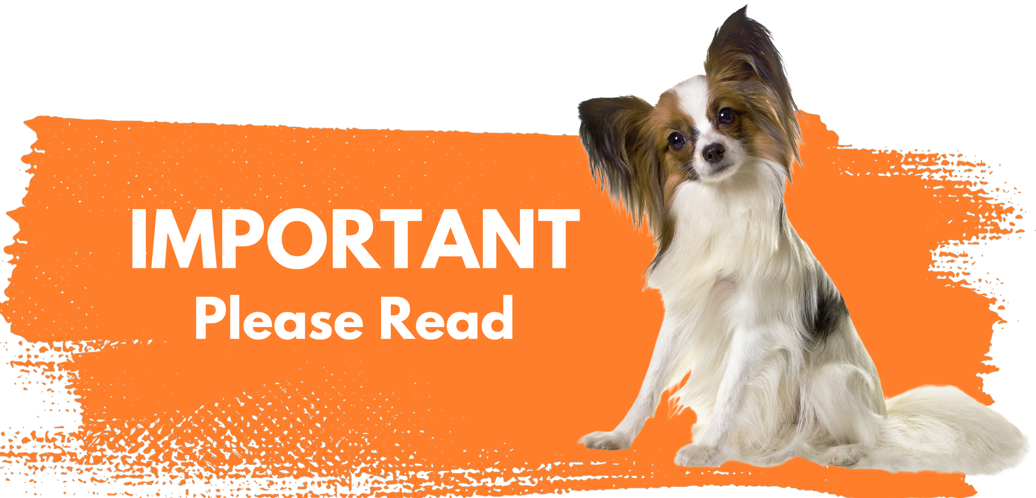 Puppy Playschool — Noble Woof Dog Training Portland Oregon