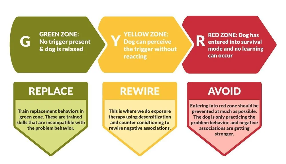 Top 5 Tips to stop leash reactivity — Noble Woof Dog Training Portland ...