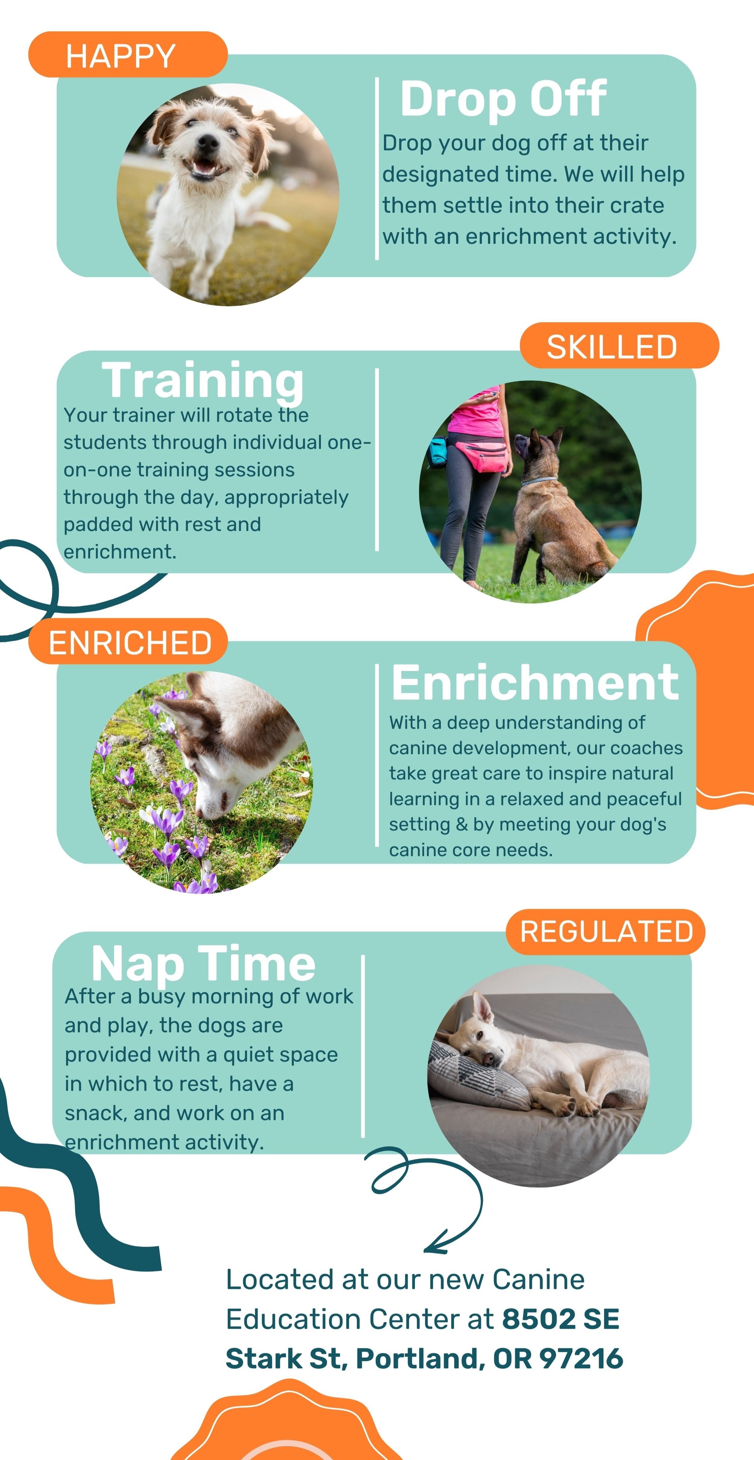 Dog Day Training Camp — Portland Oregon — Noble Woof Dog Training ...