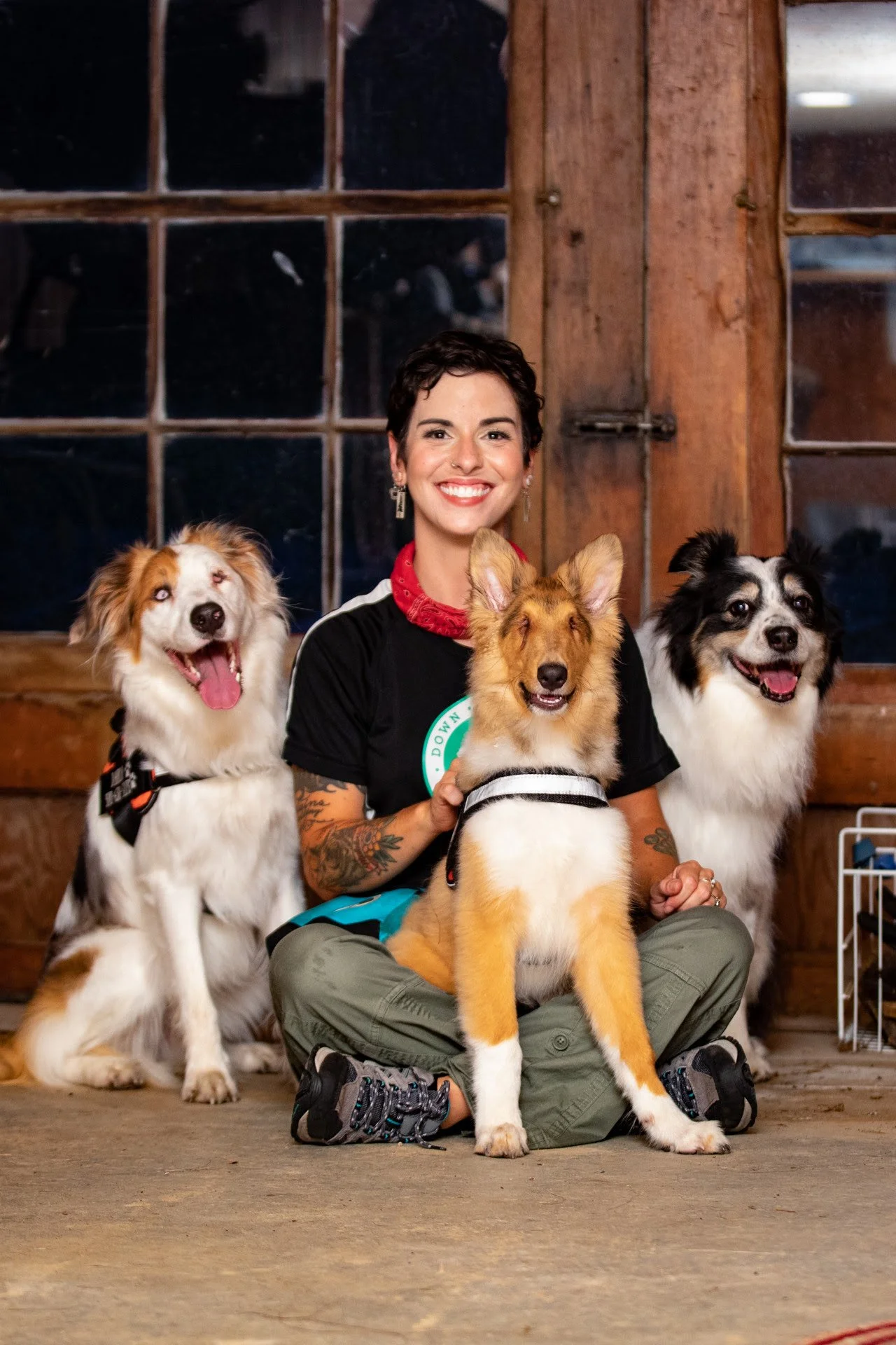 Portland Certified Dog Training & Behavior Consultants — Noble Woof Dog ...
