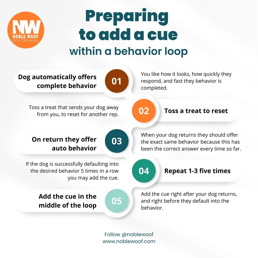 What is a cue? — Noble Woof Dog Training Portland Oregon