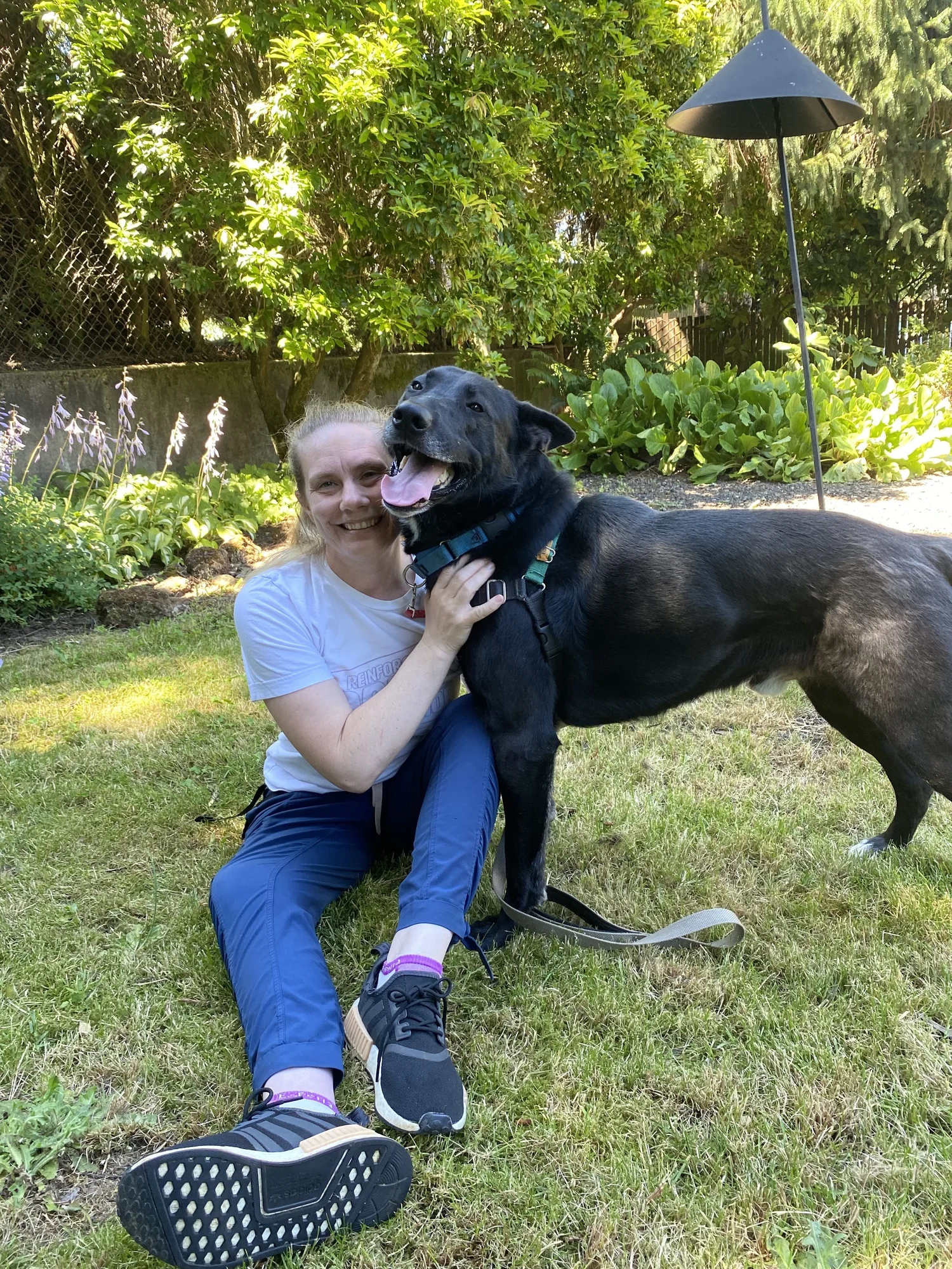 Portland Certified Dog Training & Behavior Consultants — Noble Woof Dog ...