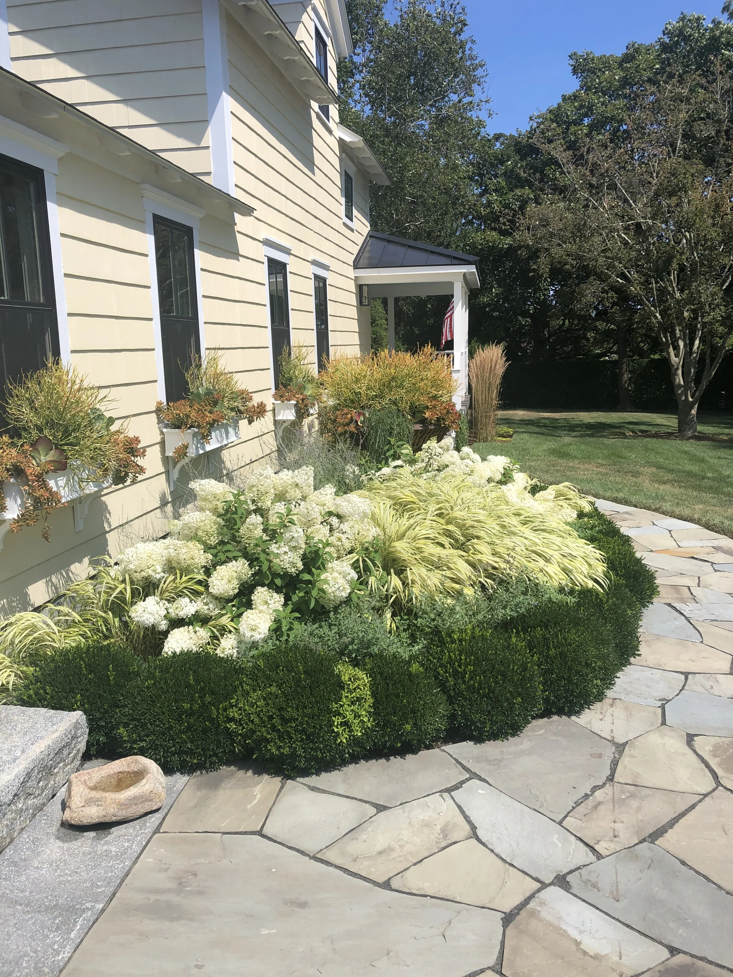 Flora Design