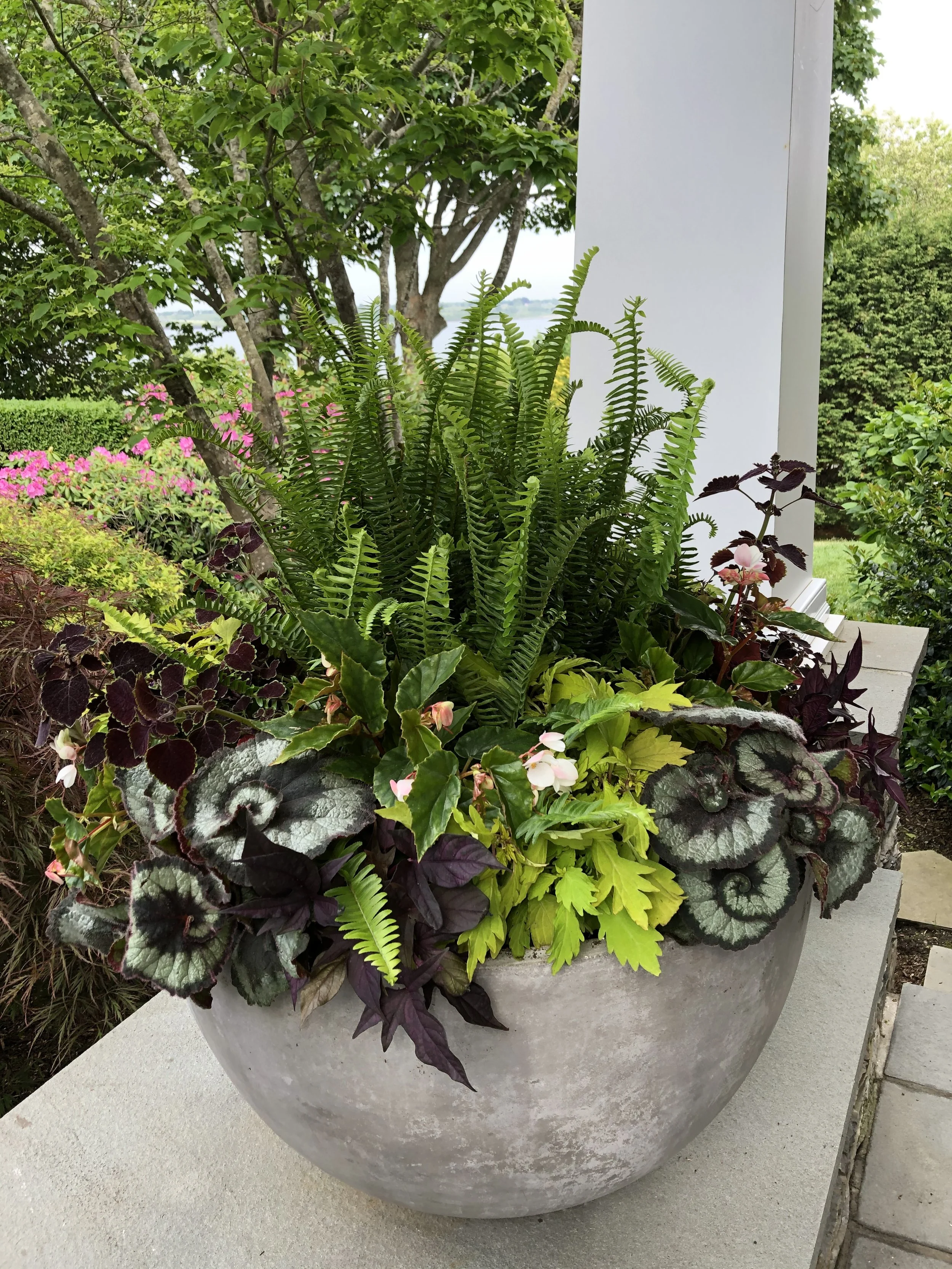 Flora Design