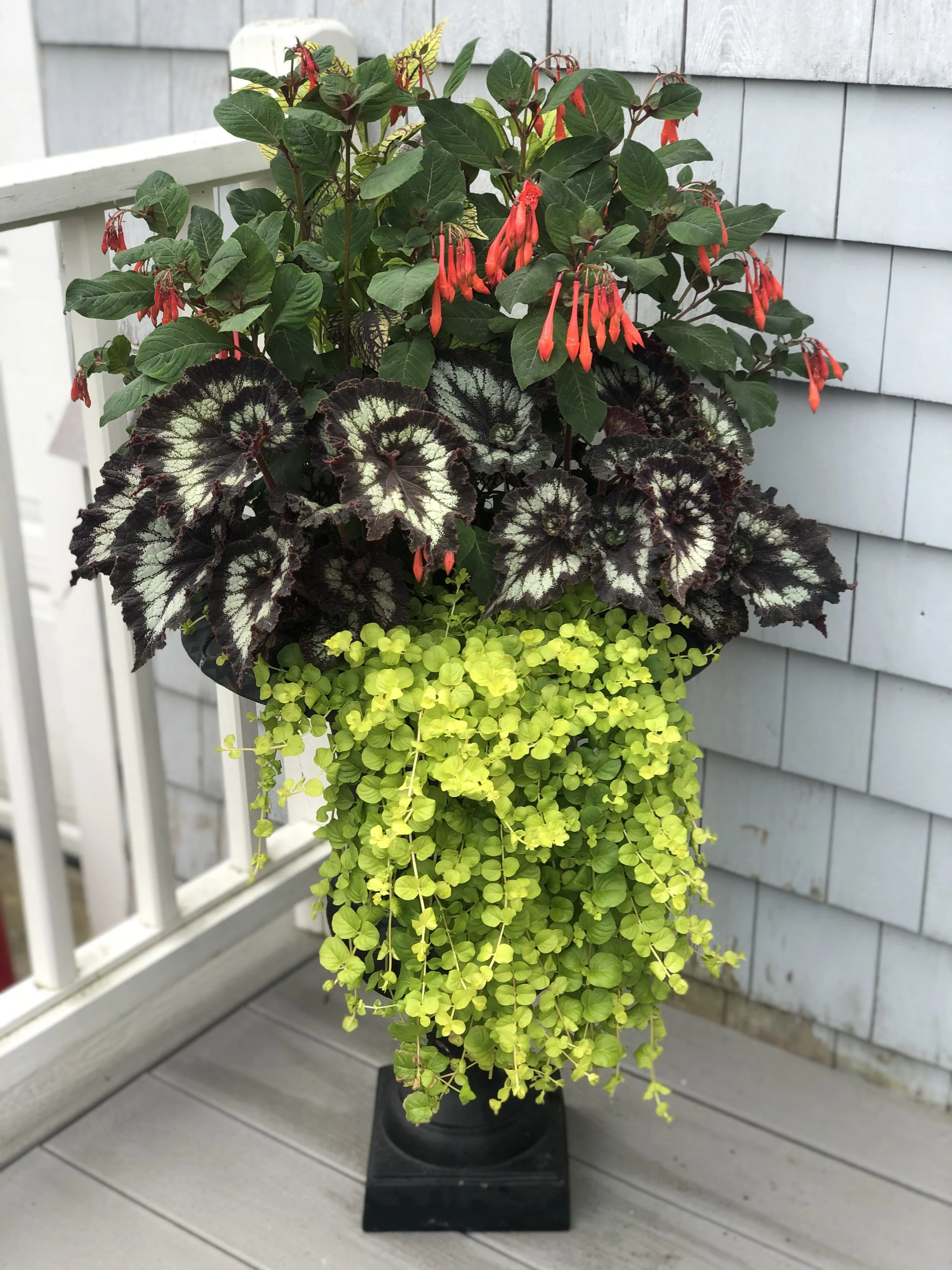 Flora Design