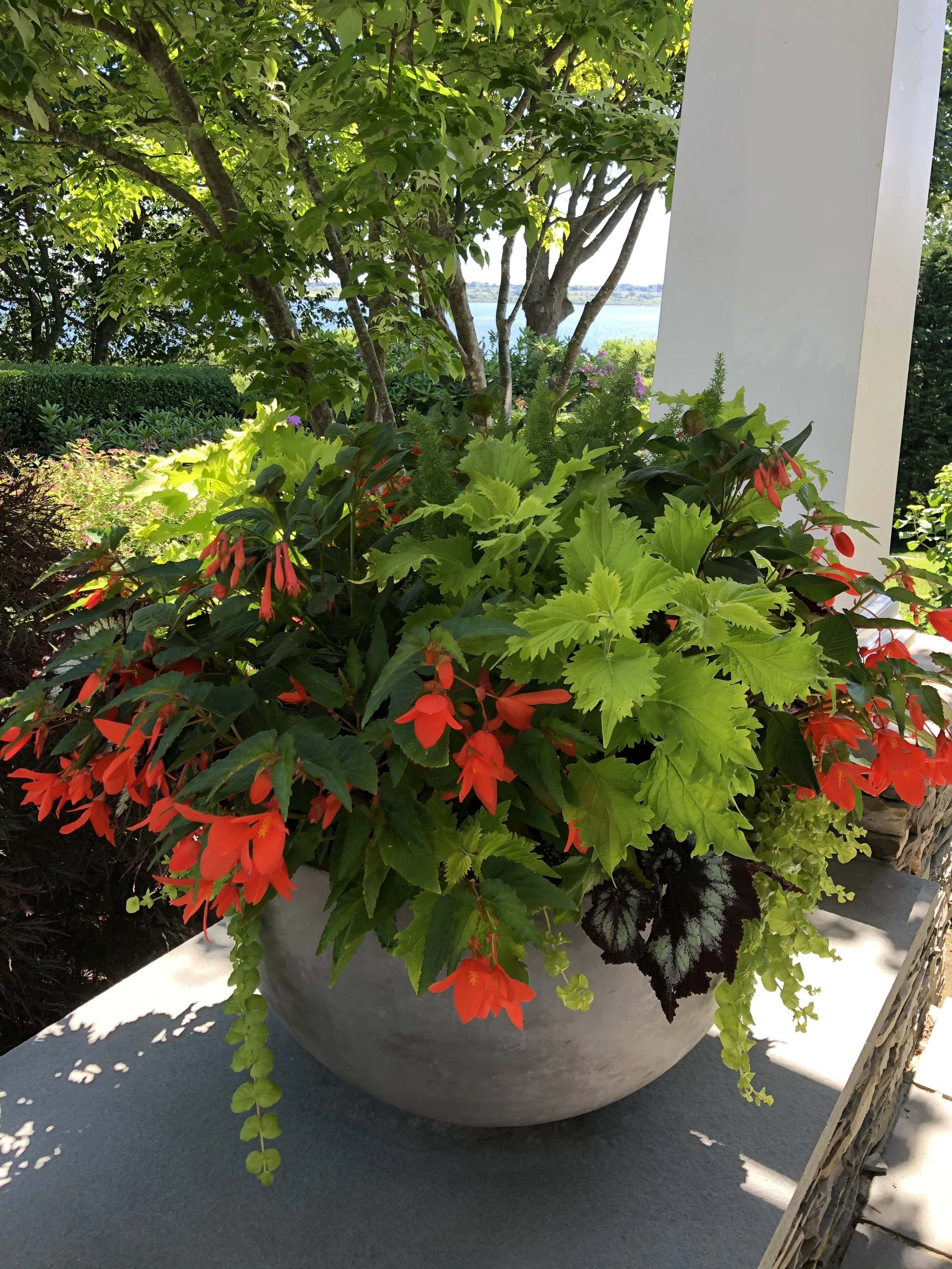 Flora Design