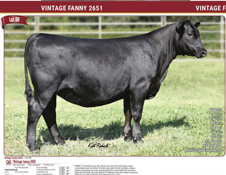 Beal Cattle Co