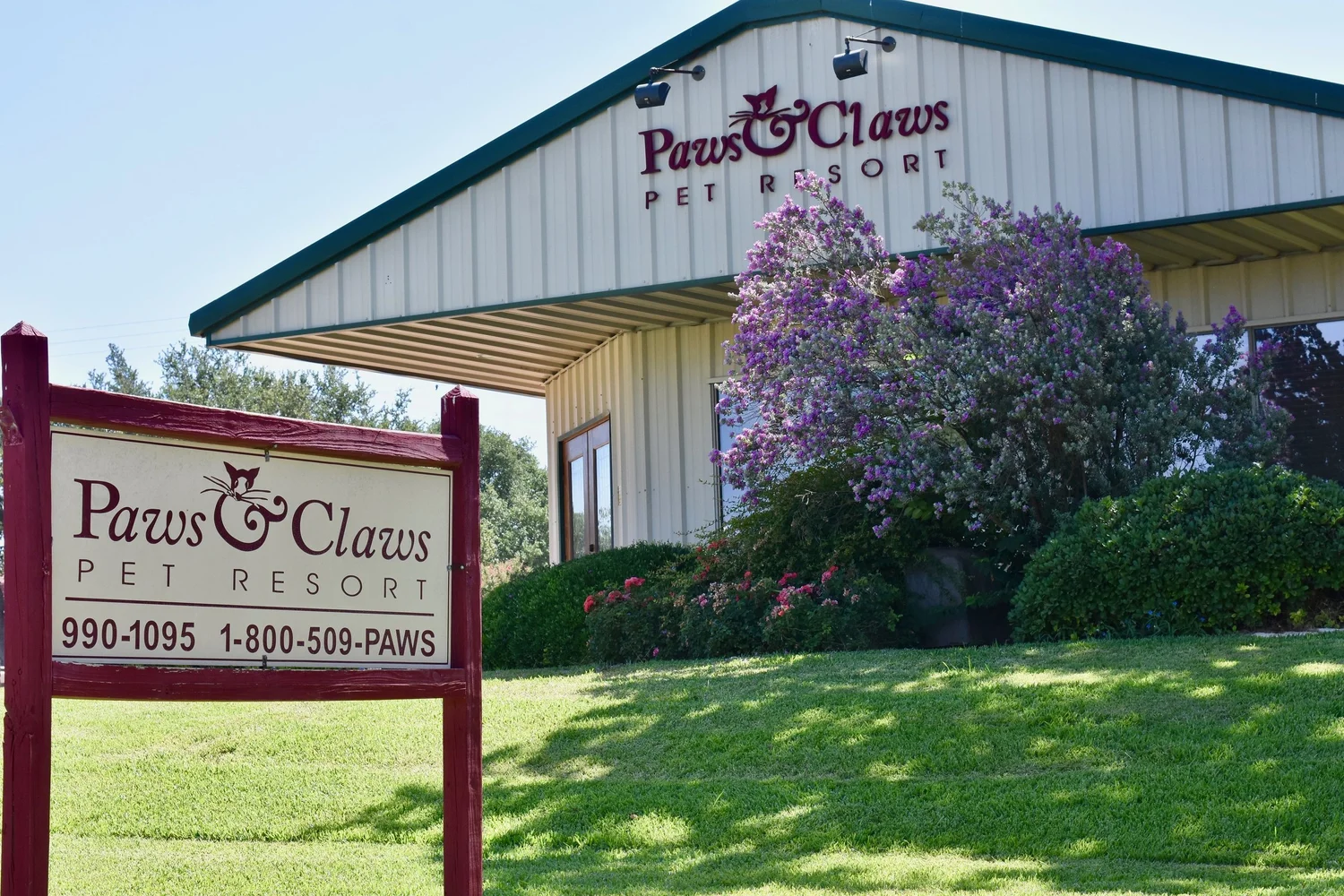 Paws N Claws Pet Care