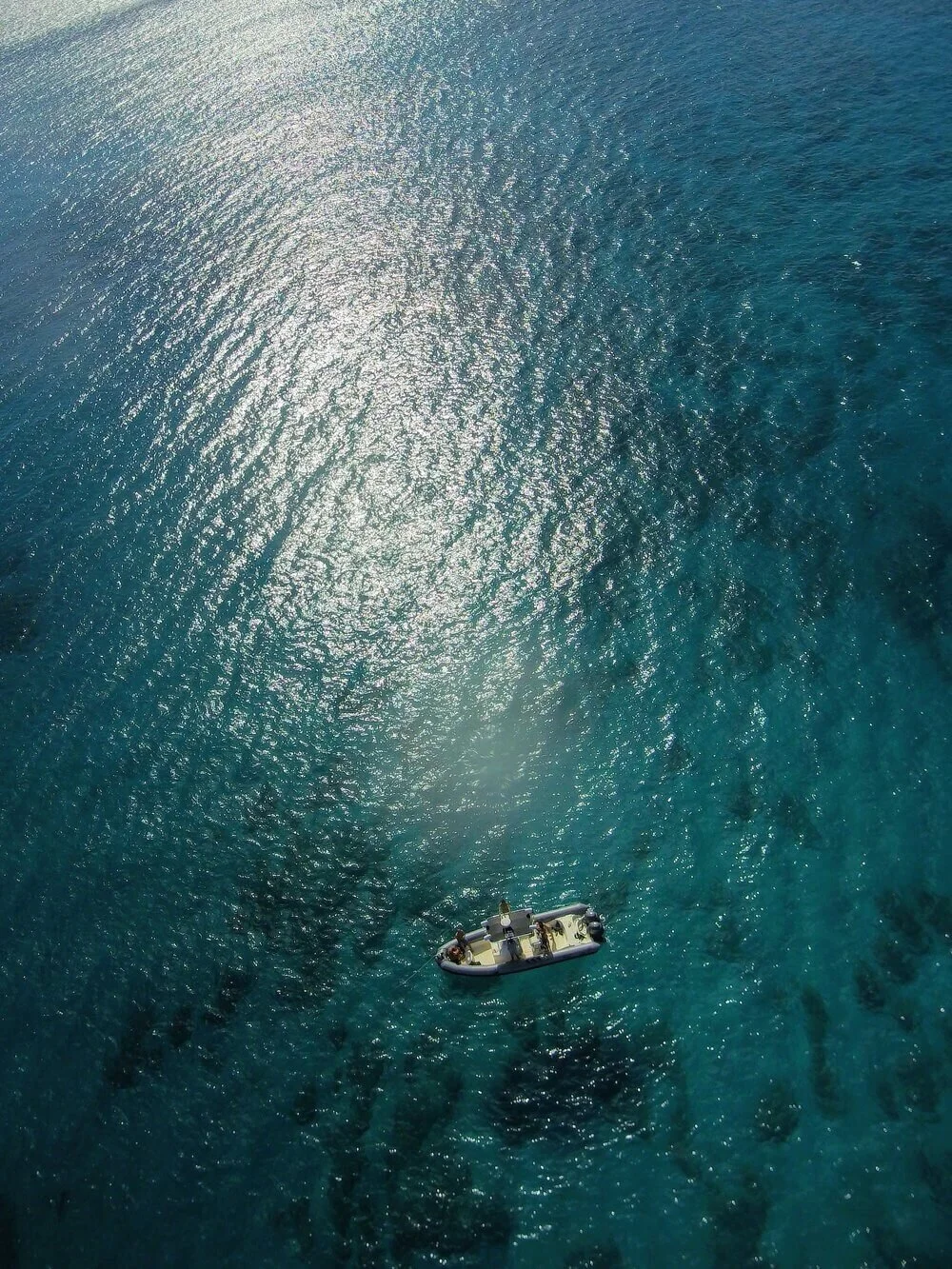 The Adventure Boat - Home