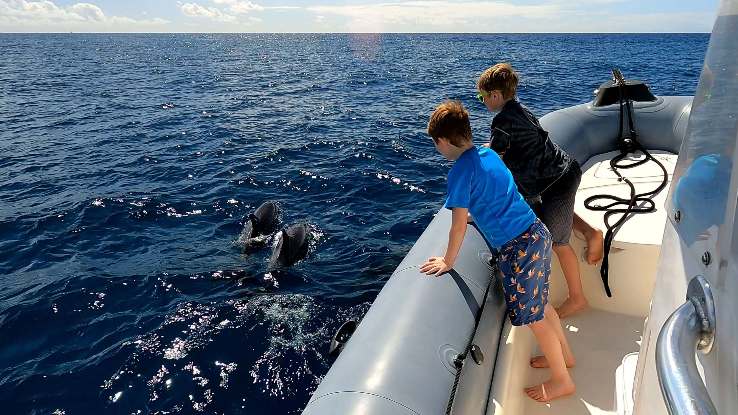 The Adventure Boat - Home