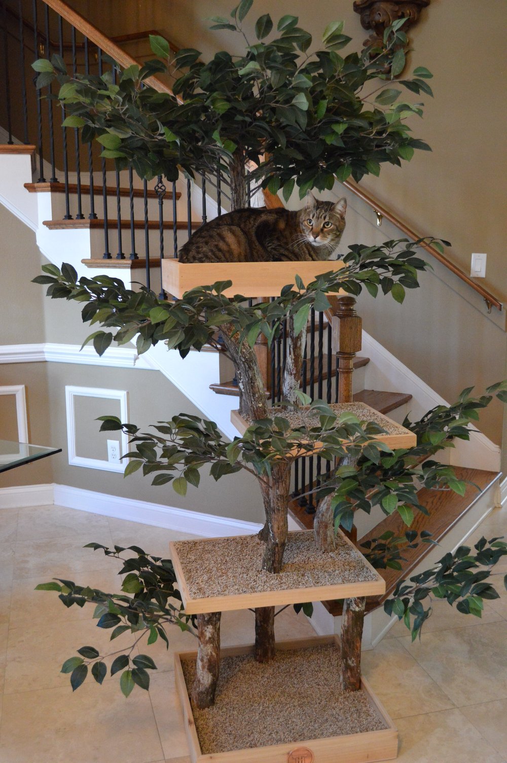 CAT TREES AND CONDOS 2020 — Rural Urbanite