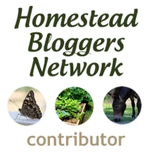 Best Magazines For The Rural Urbanite. Homesteading Publications ...