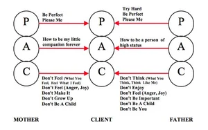 About Transactional Analysis — Scottish Transactional Analysis Association