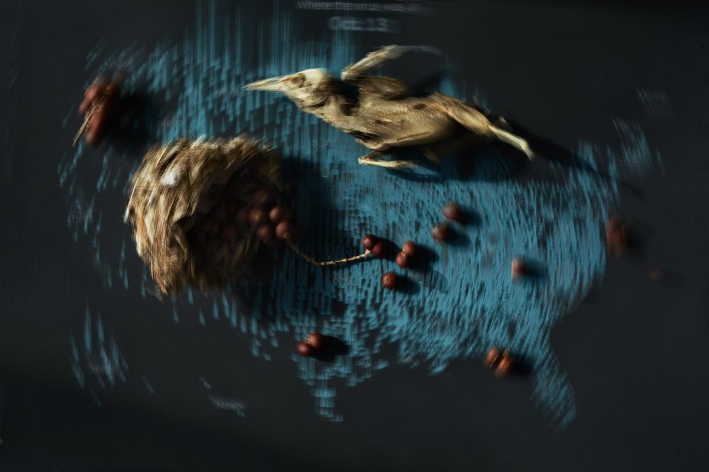 Visualizing the Pandemic: How Beth Galton Turned Isolation into Art ...