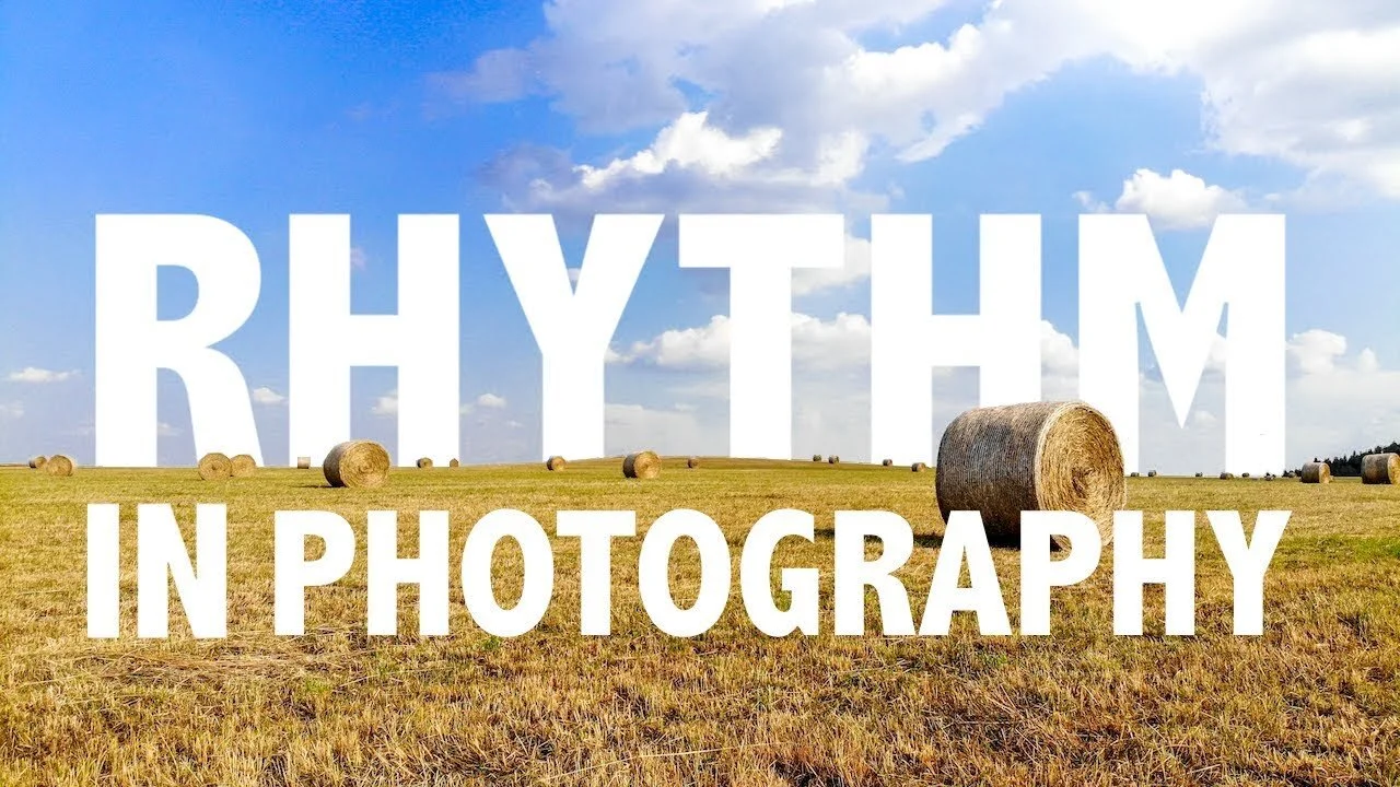 Examples Of Rhythm In Photography