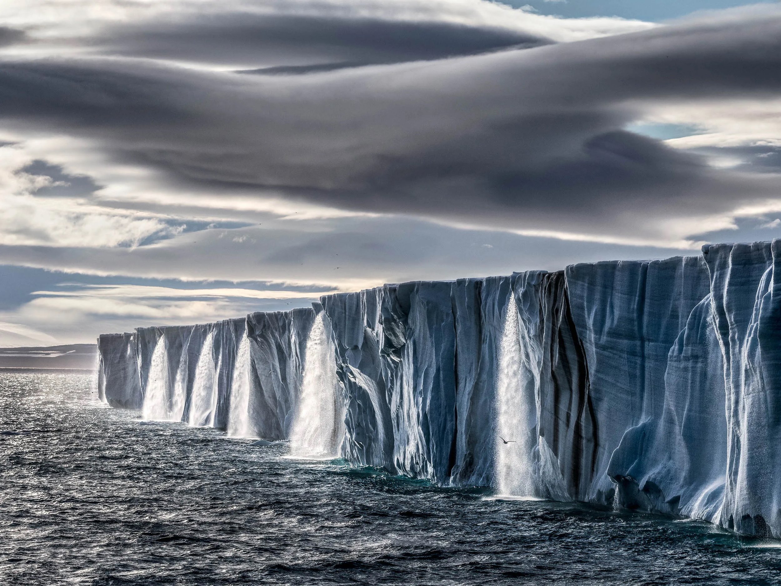 Paul Nicklen: Capturing the Beauty and Fragility of the World's Polar ...