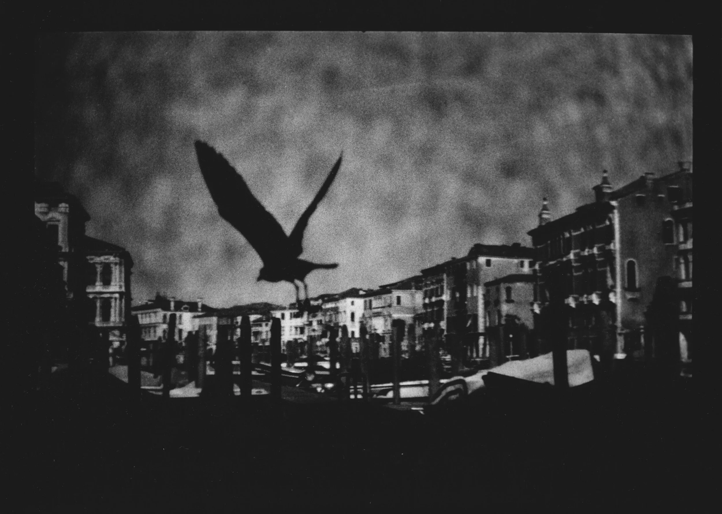 Reimagining Venice: Giacomo Brunelli's Unique Photographic Approach ...