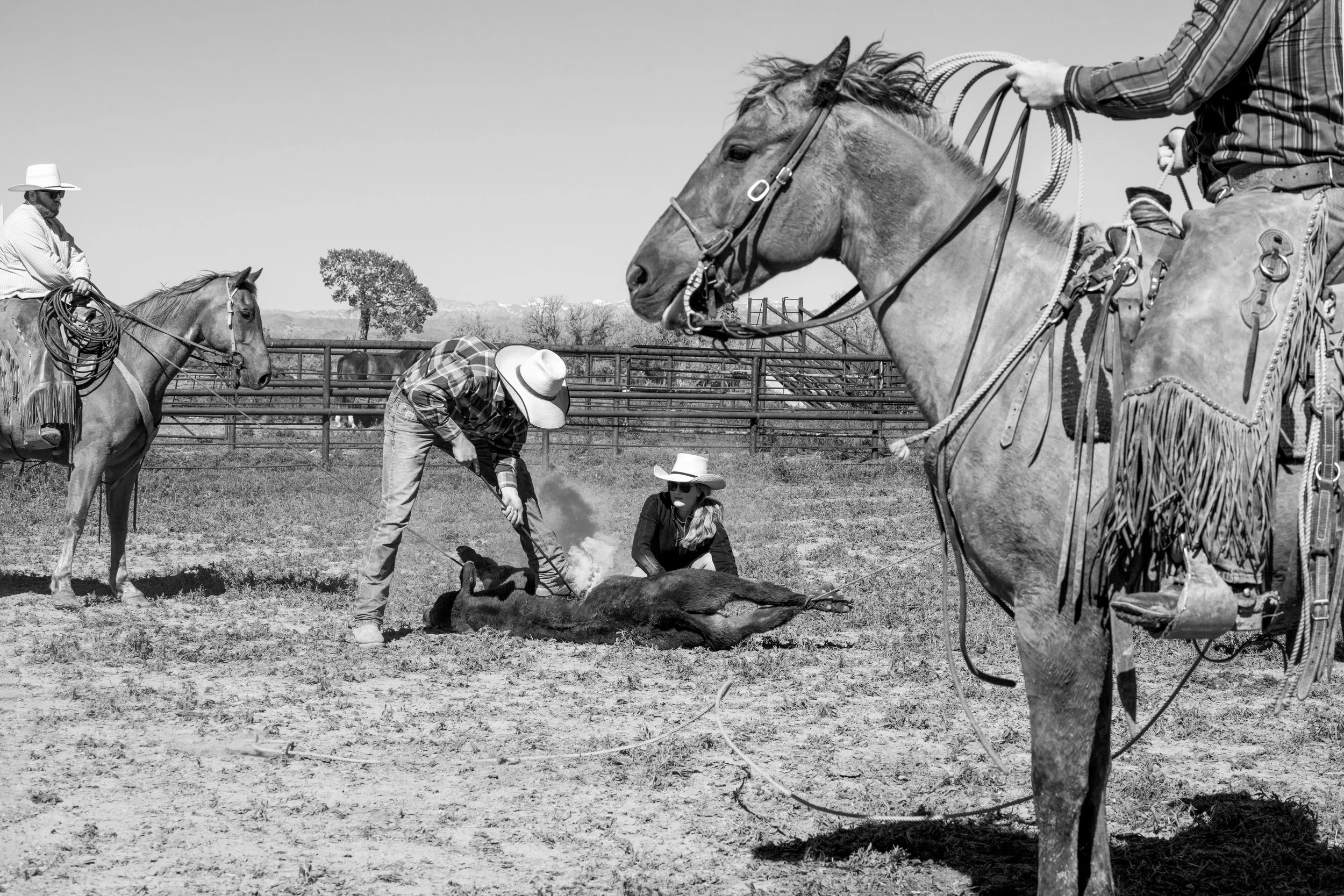 Why Isabelle Arnon Spent 4 Years Photographing a World Most People ...