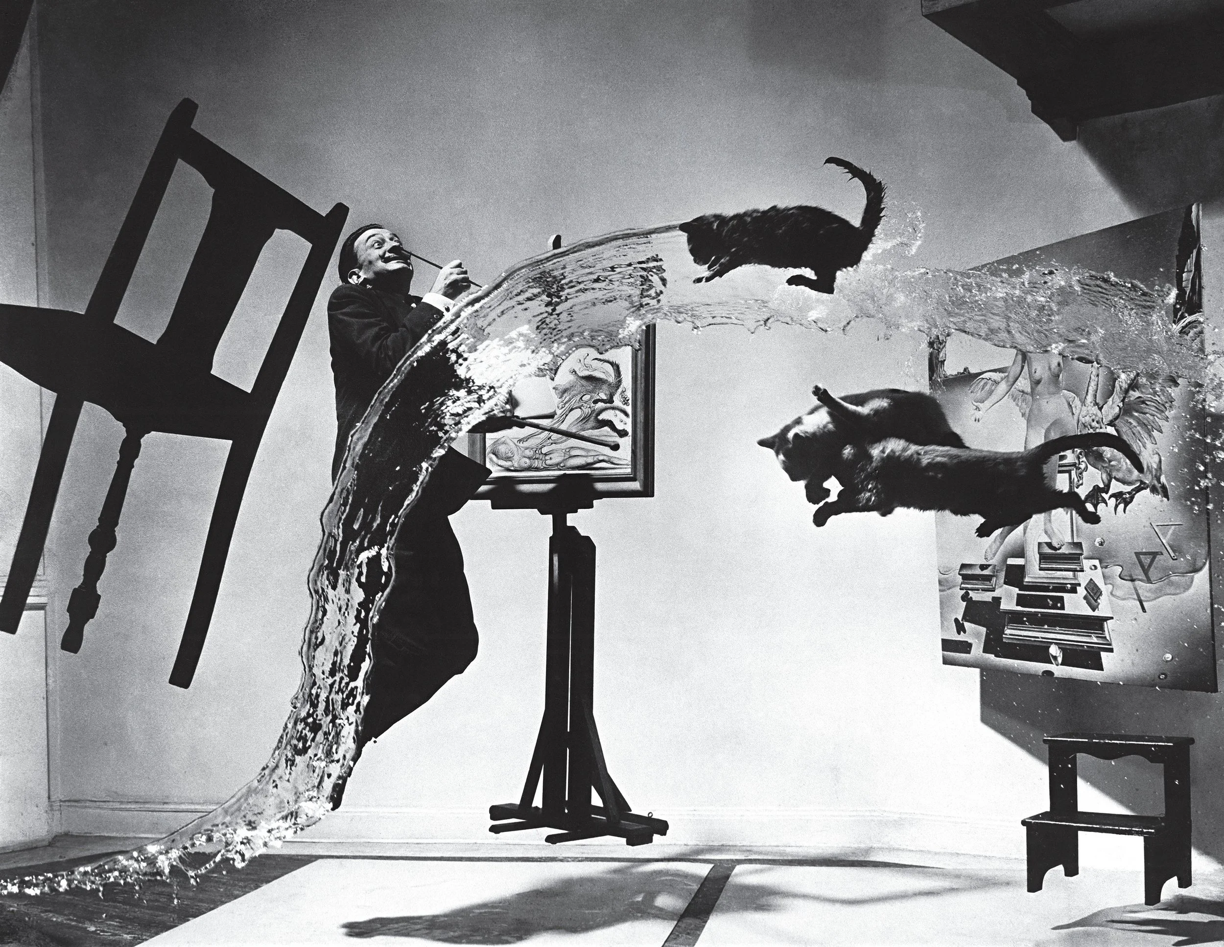 Behind the Iconic Flying Cat Photo - Dalí Atomicus — about photography