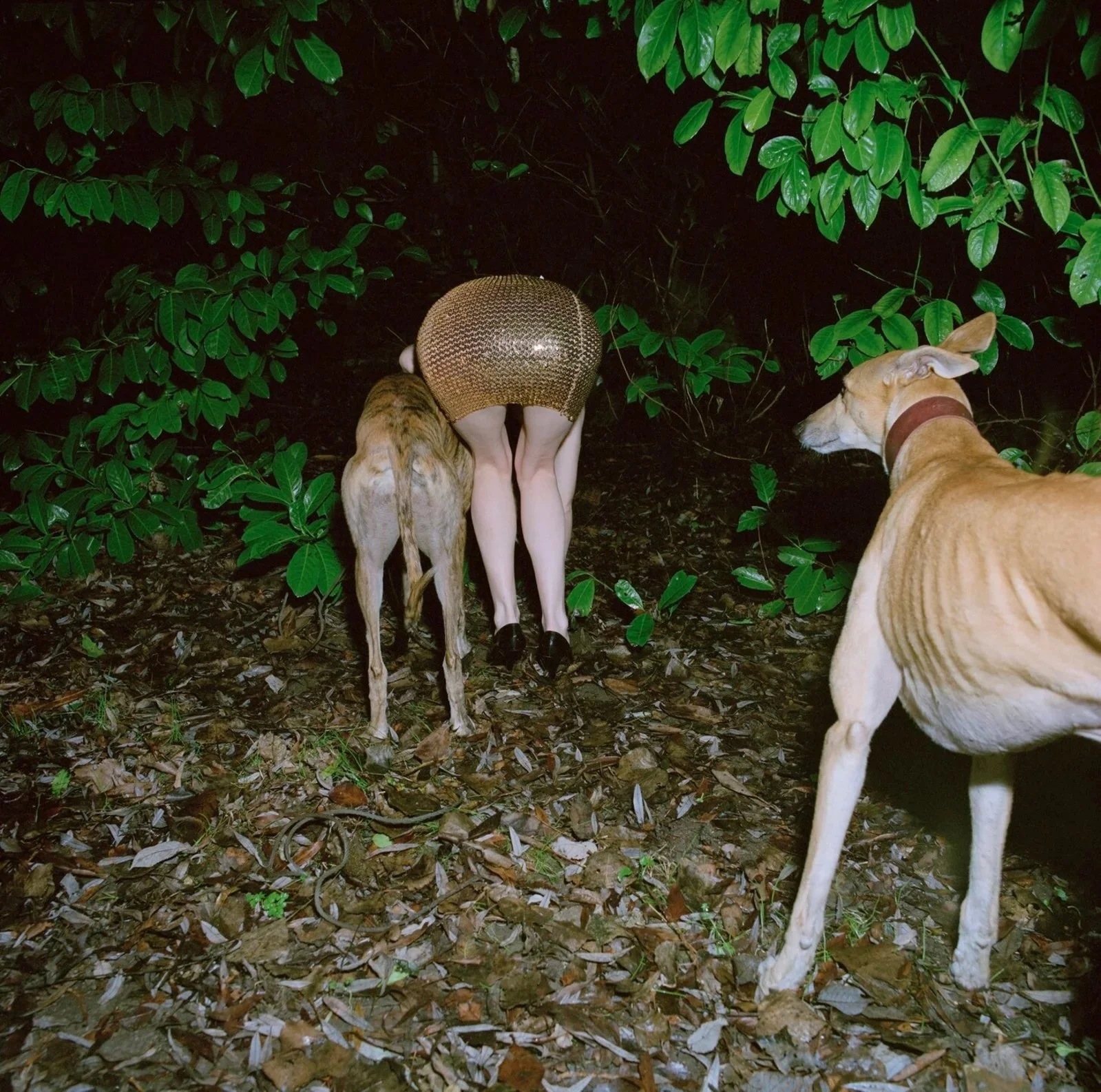 Country Girls' Decoded: Anna Fox's Lens on Rural Shadows — about ...