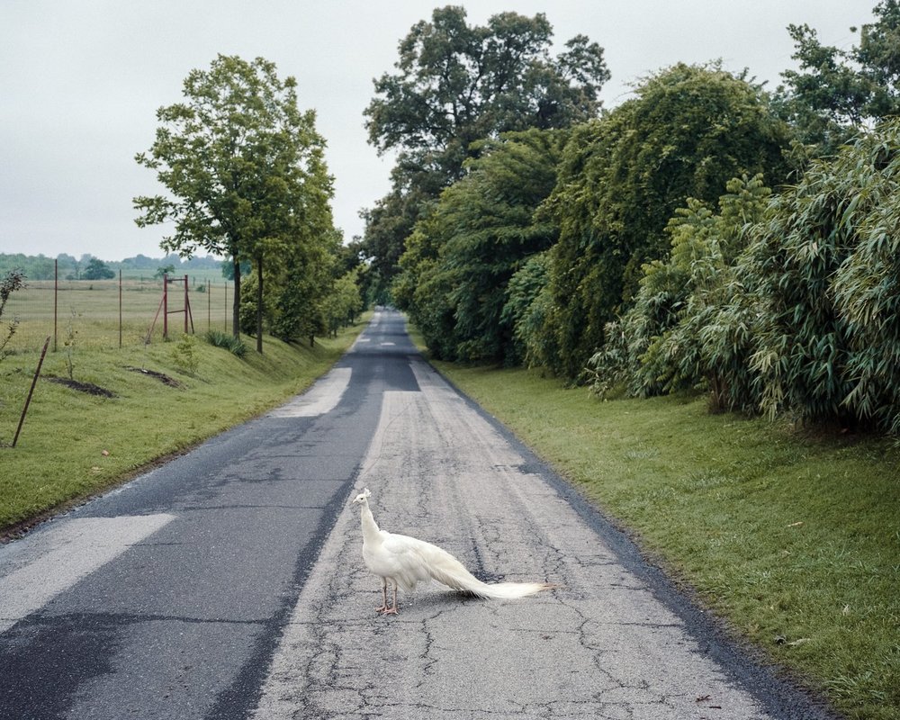 8 Lessons Every Photographer Should Learn From Aaron Hardin to Create More Meaningful Images ...