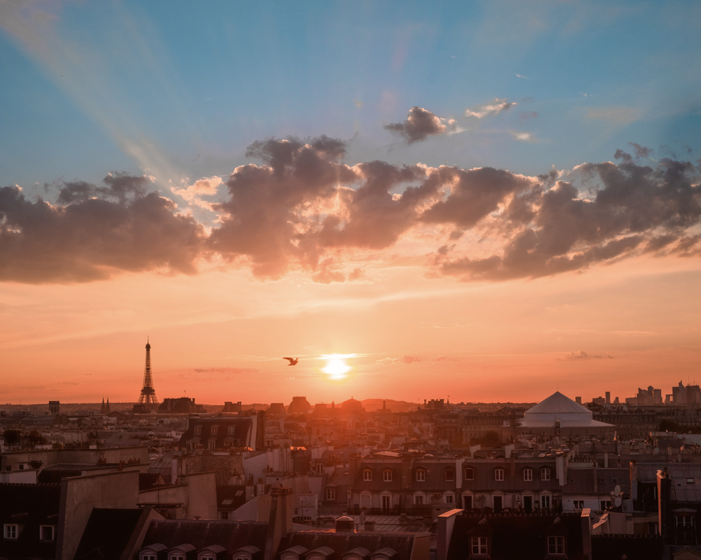 Connecting with International Photographers Through Shared Language ...