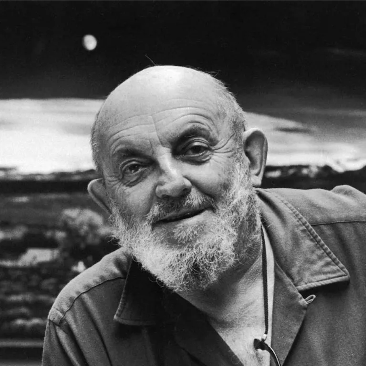Ansel Adams: The Master of Landscape Photography and Environmental ...
