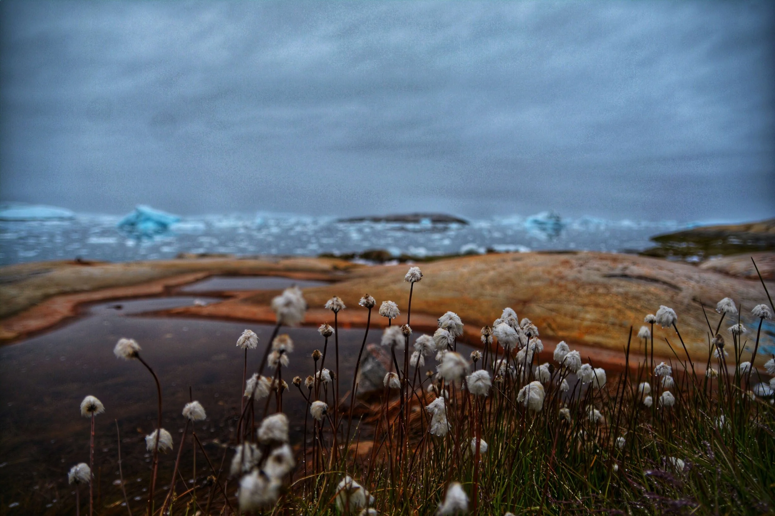 Why Greenland is called Greenland? Discover the land of ice — Best ...