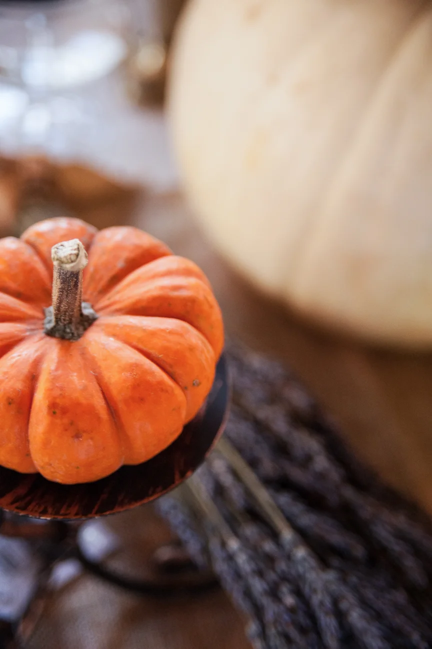 Harvest: Thanksgiving Table Inspiration — Paprika Southern