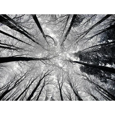 Shop Fine Art Prints — Tomas Havel Photography