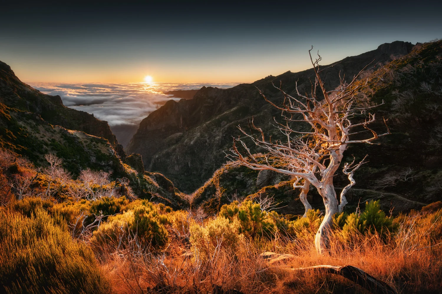 THE MAJESTIC LANDSCAPE OF MADEIRA — Tomas Havel Photography