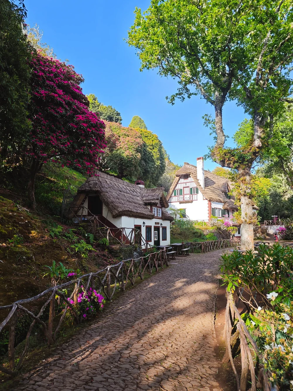 The complete guide to Madeira Island - Tourist map of Madeira with over ...
