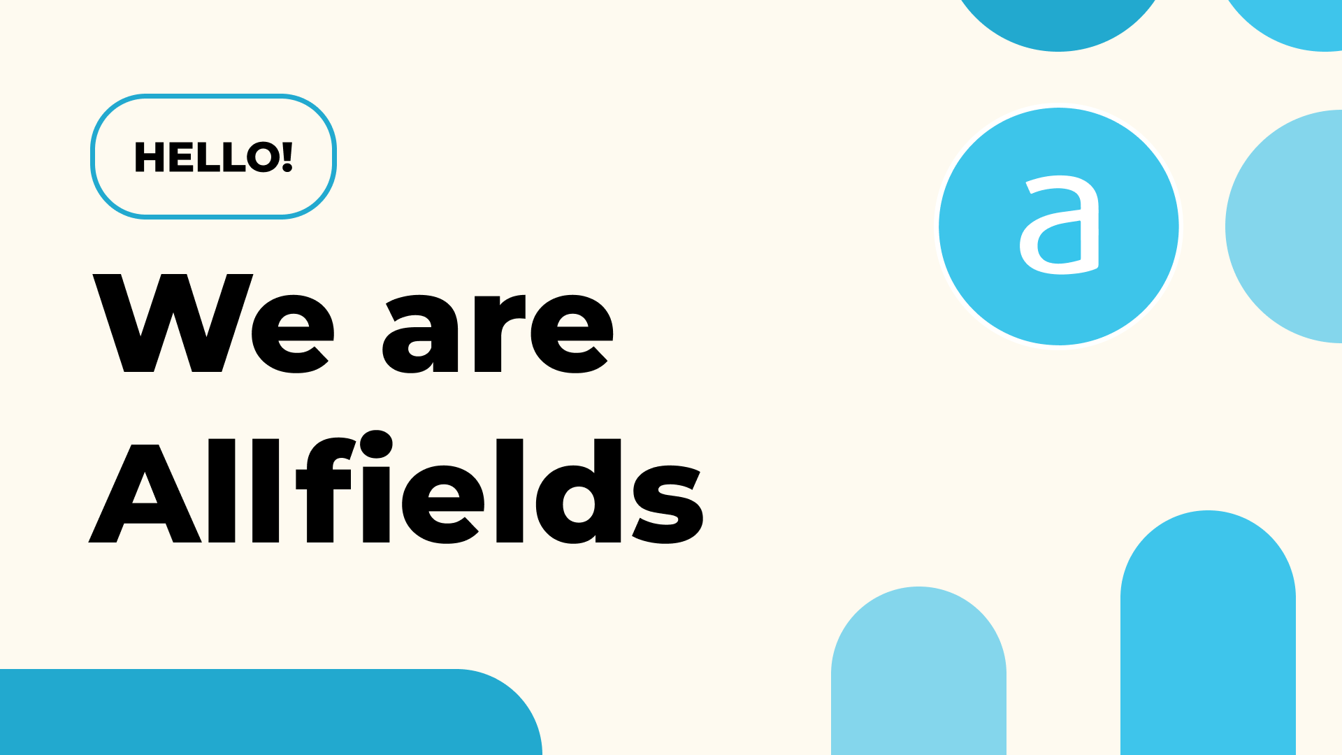 Allfields What we do