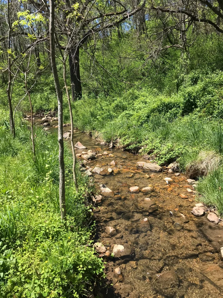 Our Story — Silver Run Forest Farm