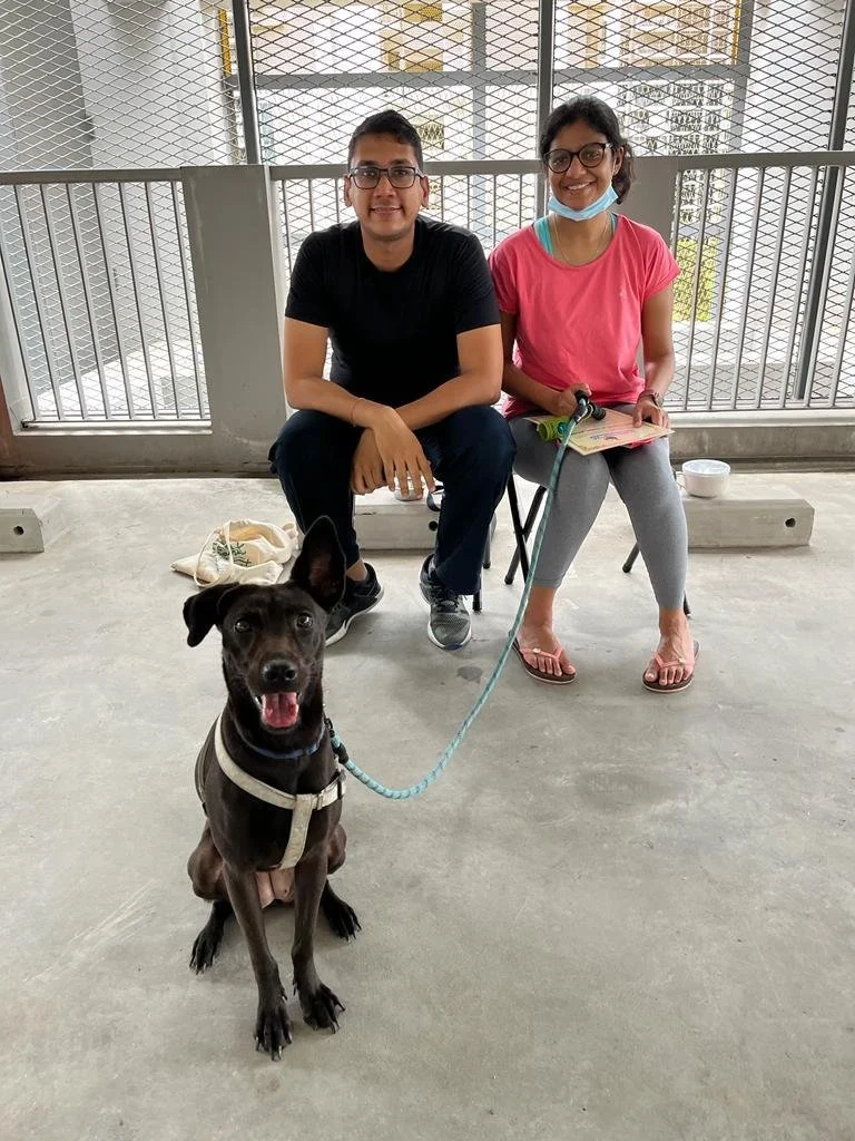 Adoption Stories — Animal Lovers League