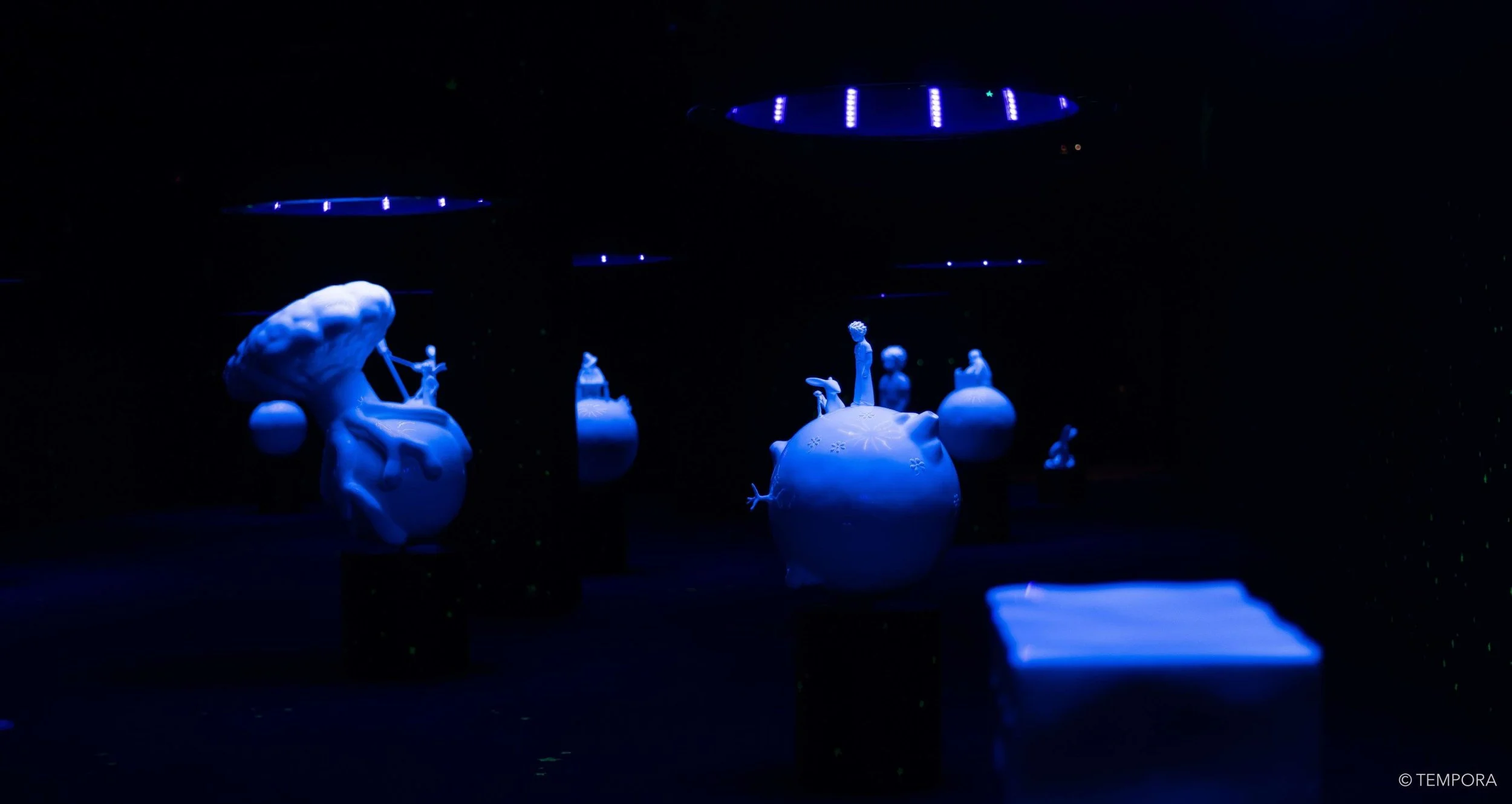 The Little Prince Exhibitions / Expositions Le Petit Prince